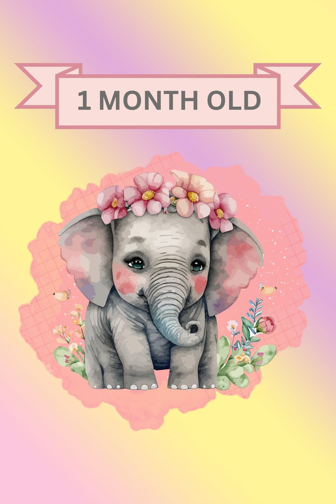 Cute Baby Elephant 1-12 Months Milestone Flash Cards Download Wall Art ...
