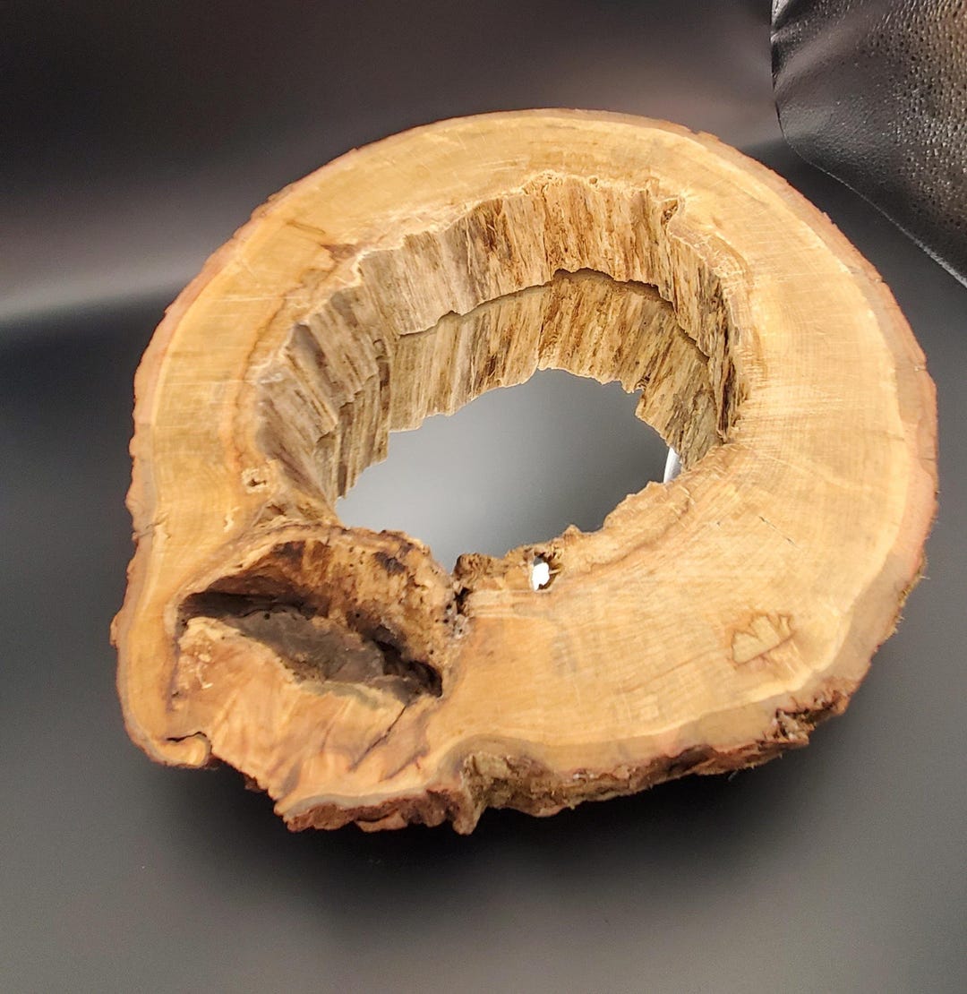 Natural Mirror Hollow Log Tree Slice - Etsy