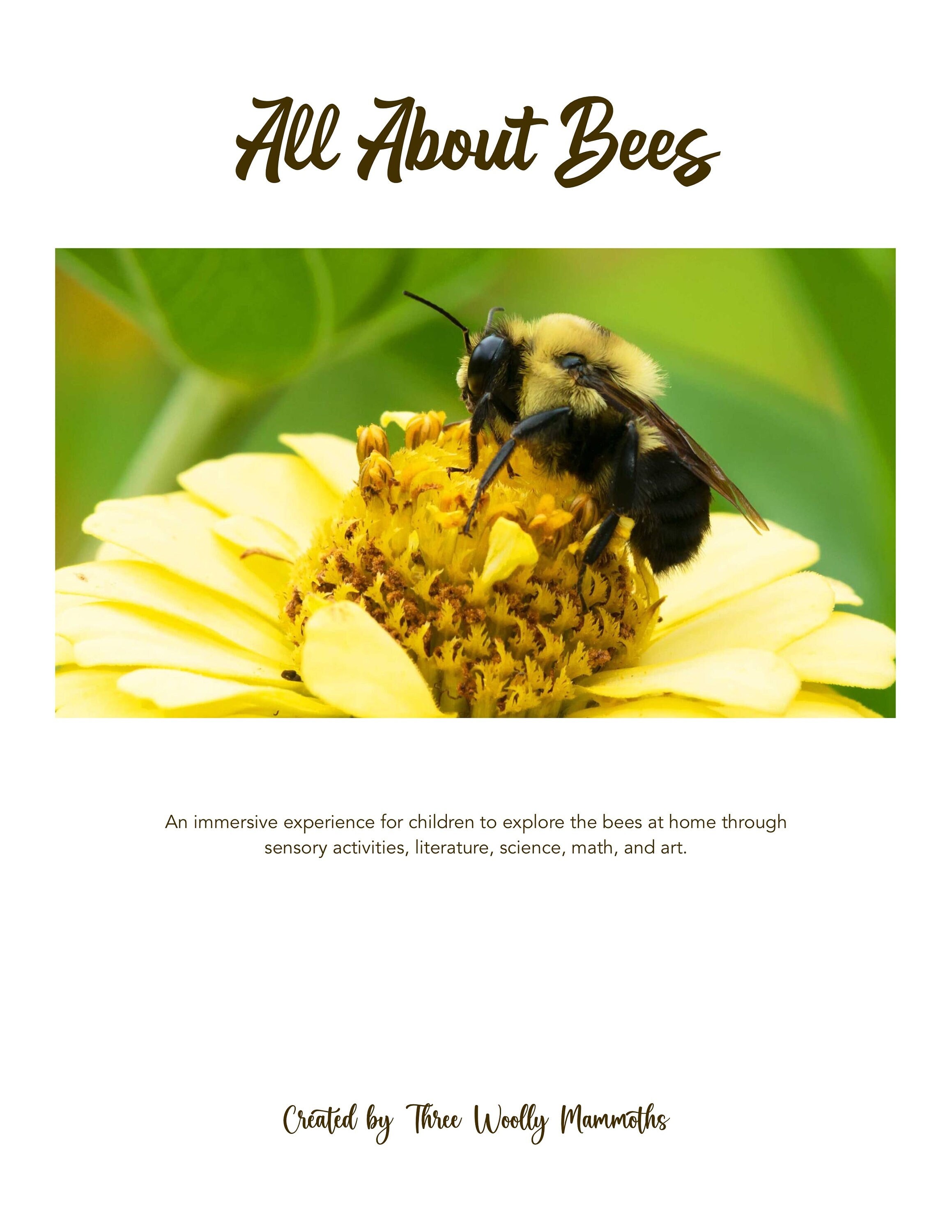 Bees Unit Study - Etsy