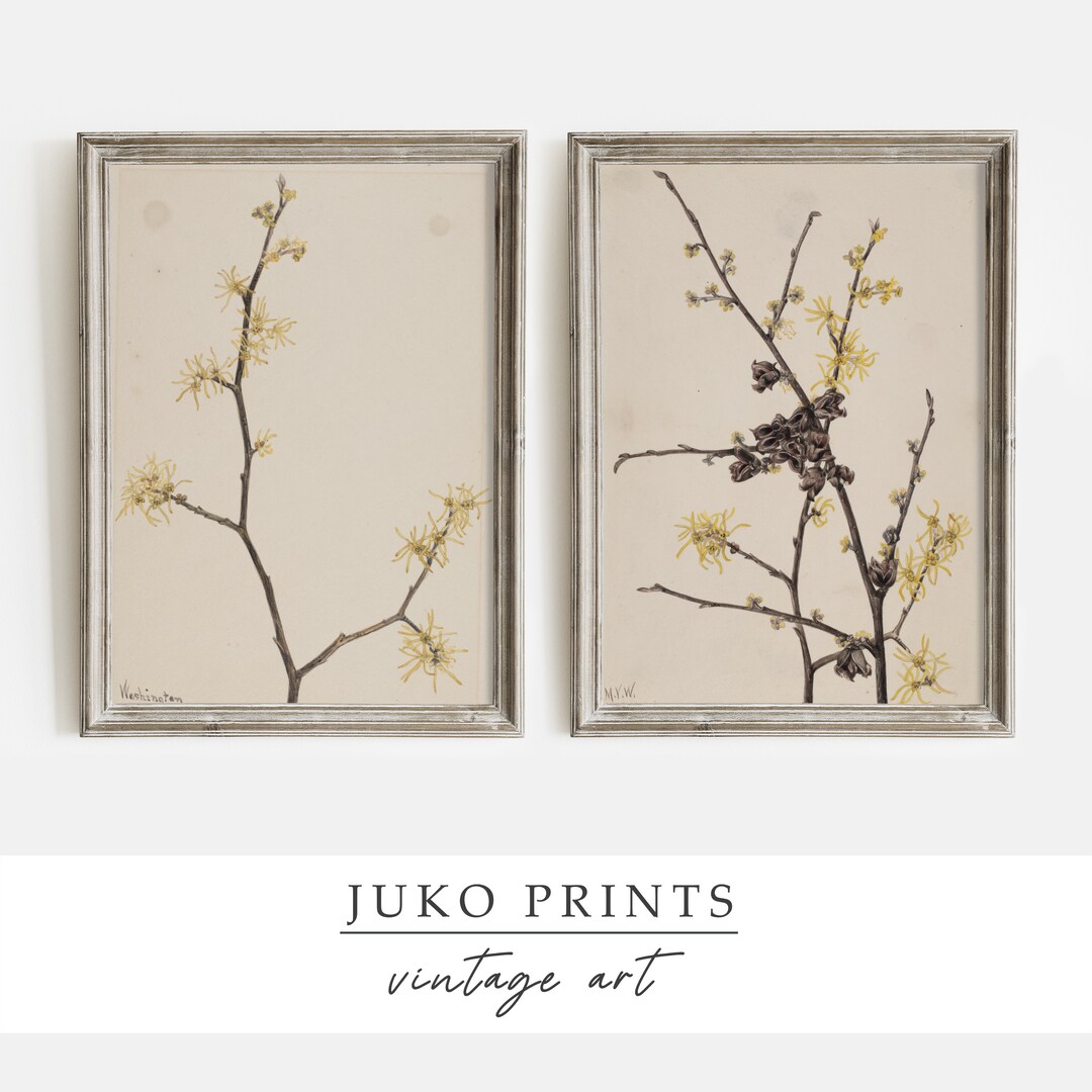 Printable Wall Art Set of 2 two Prints for Home Decor Vintage Branch ...
