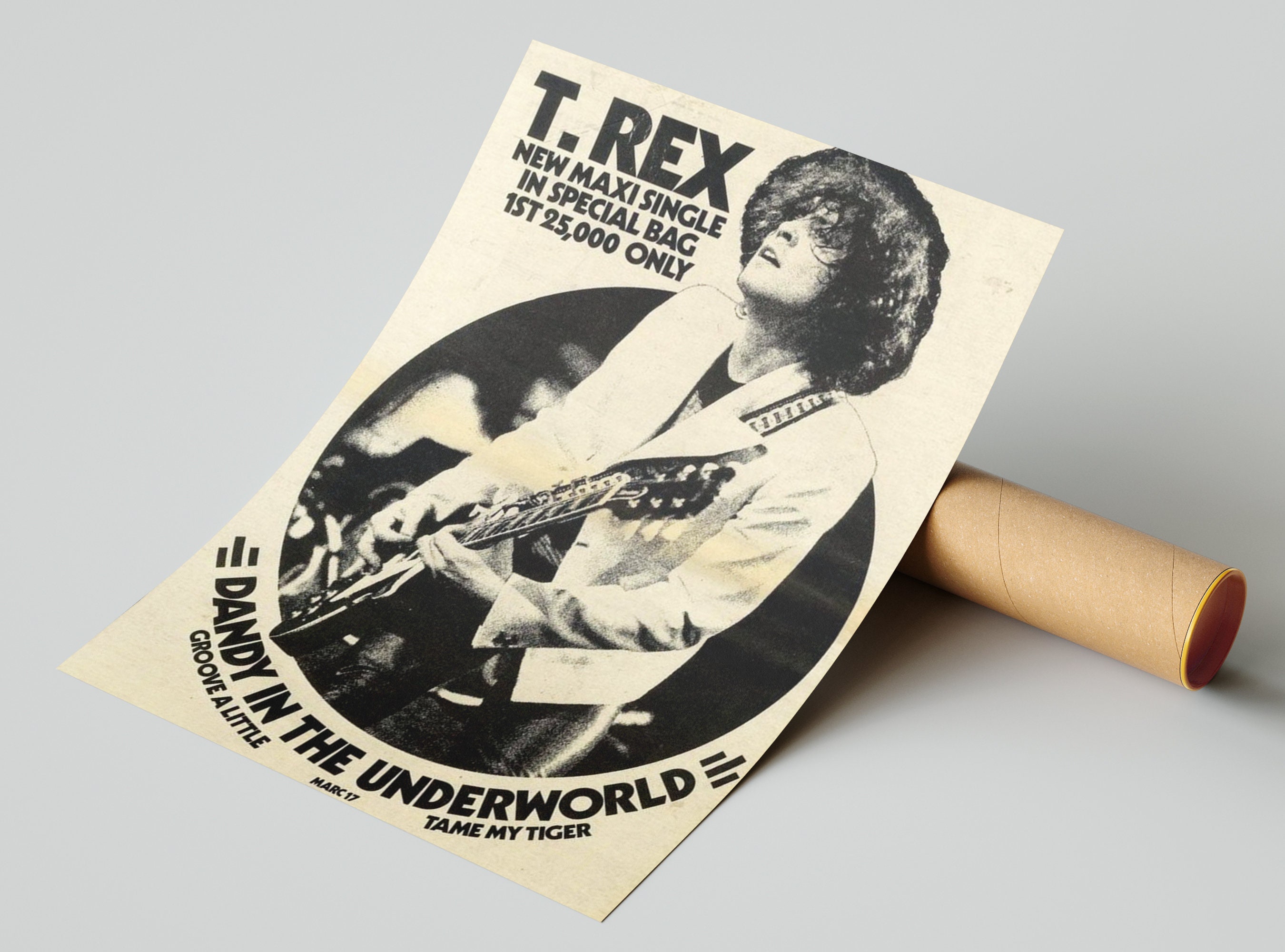 T Rex Band Poster