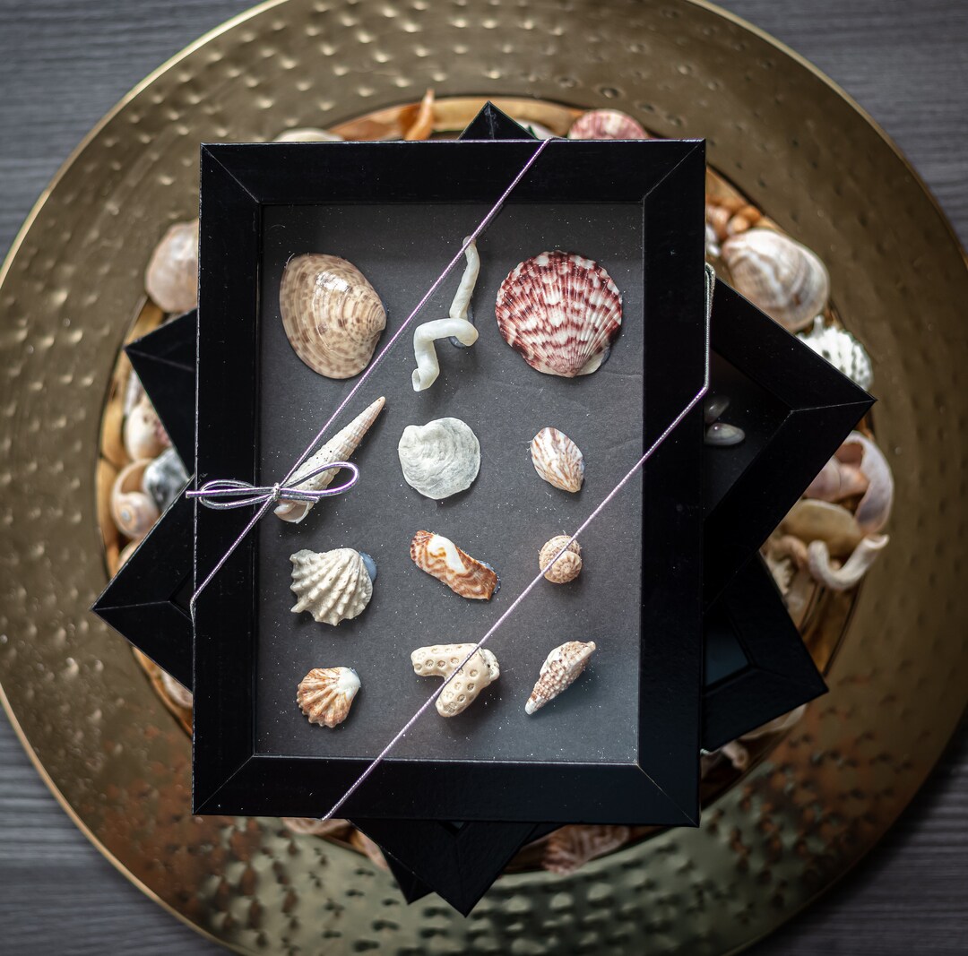 Hand Crafted Florida Beach Shell Shadow Boxes | Beach Decor | Coastal ...