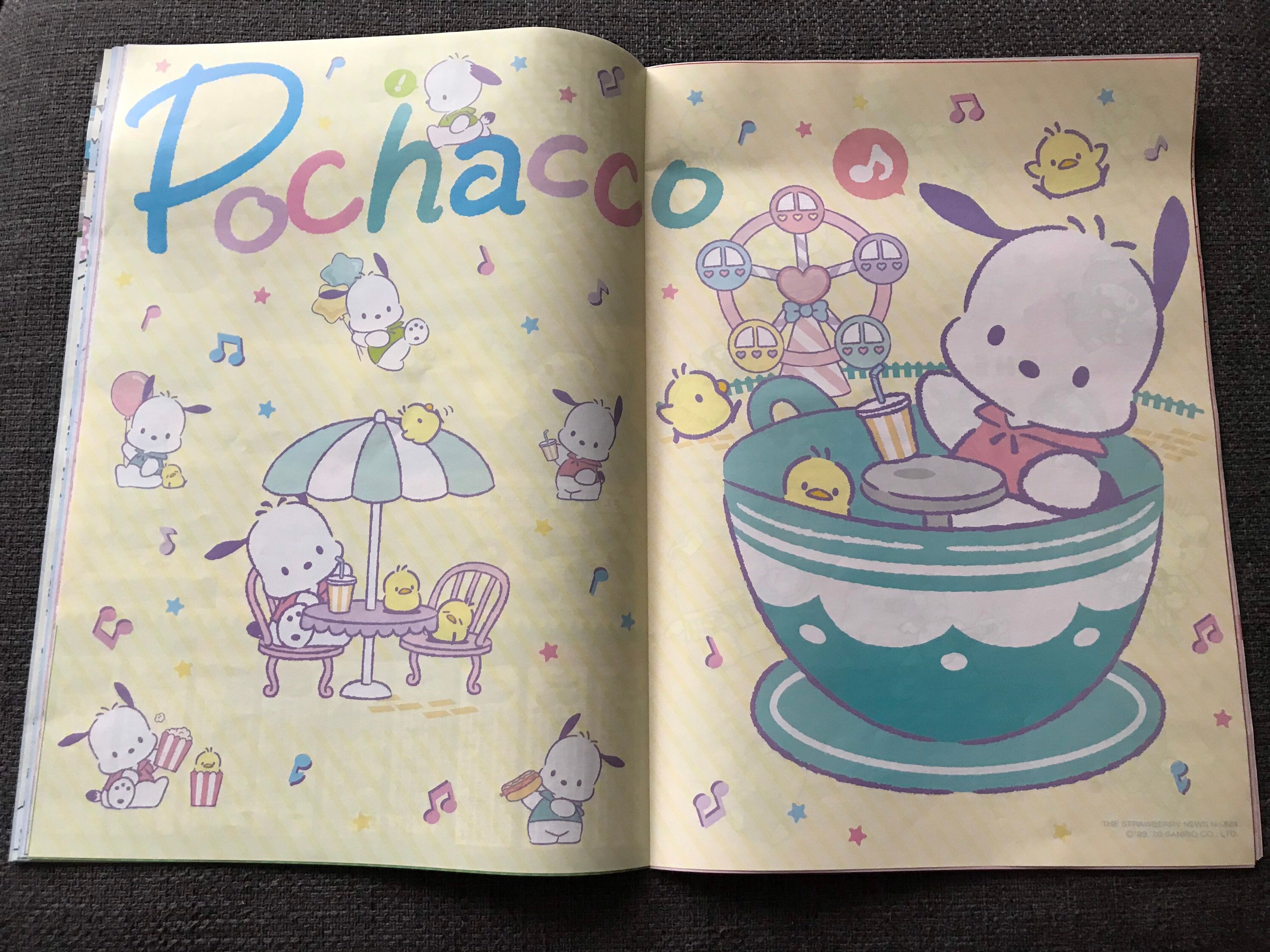 Japanese Sanrio Oversized Pochacco Magazine - Etsy
