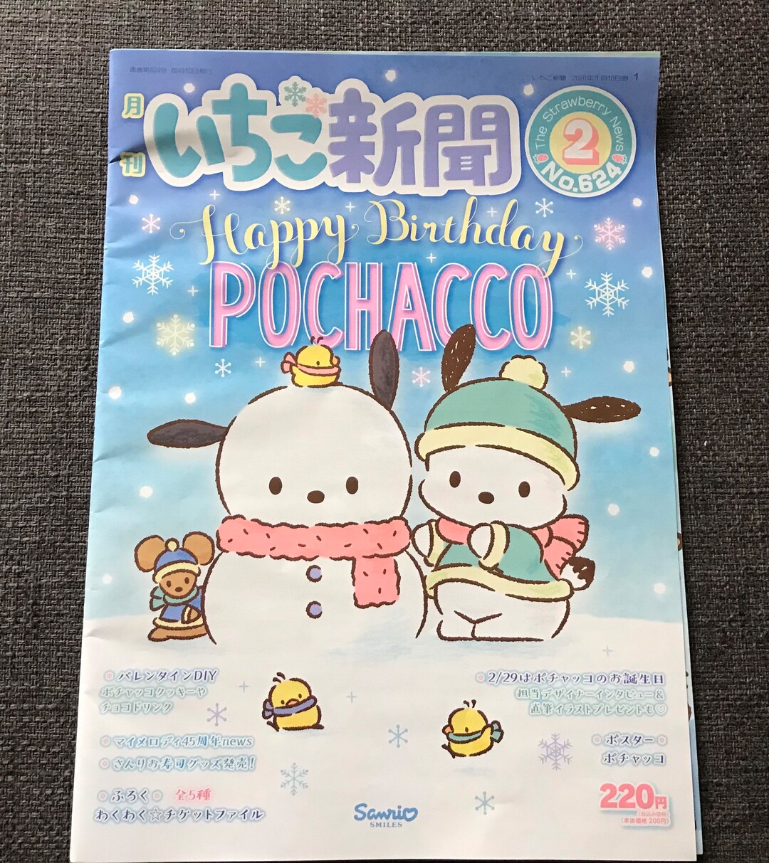 Japanese Sanrio Oversized Pochacco Magazine - Etsy