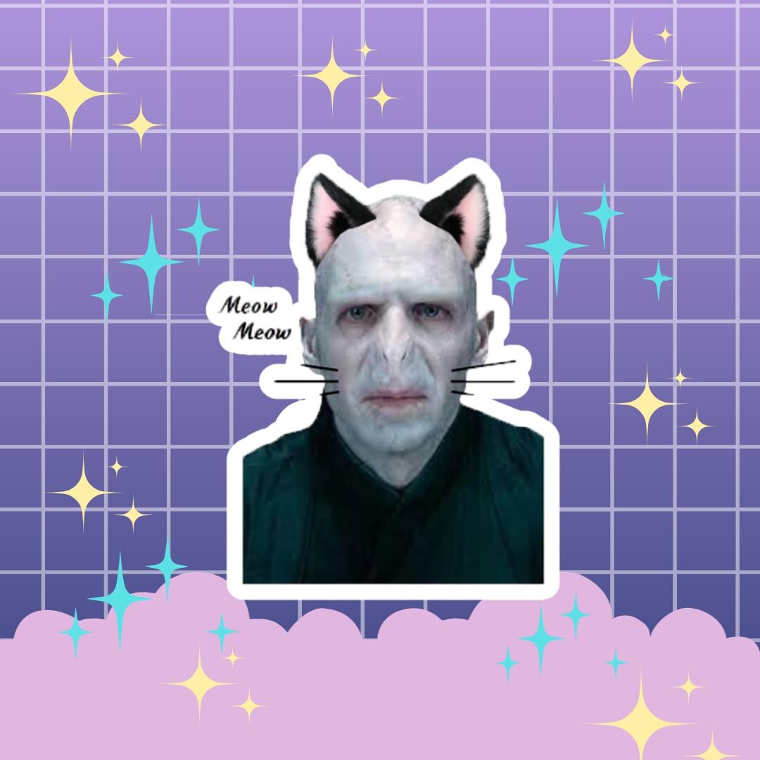 Cat Boy Voldemort Funny Matte Vinyl Sticker - Etsy