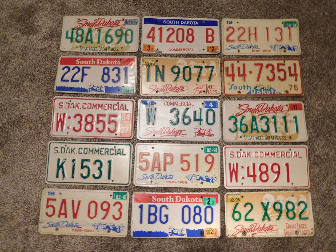 Embossed SOUTH DAKOTA Steel License Plates - Pick Your Plate - Arts ...