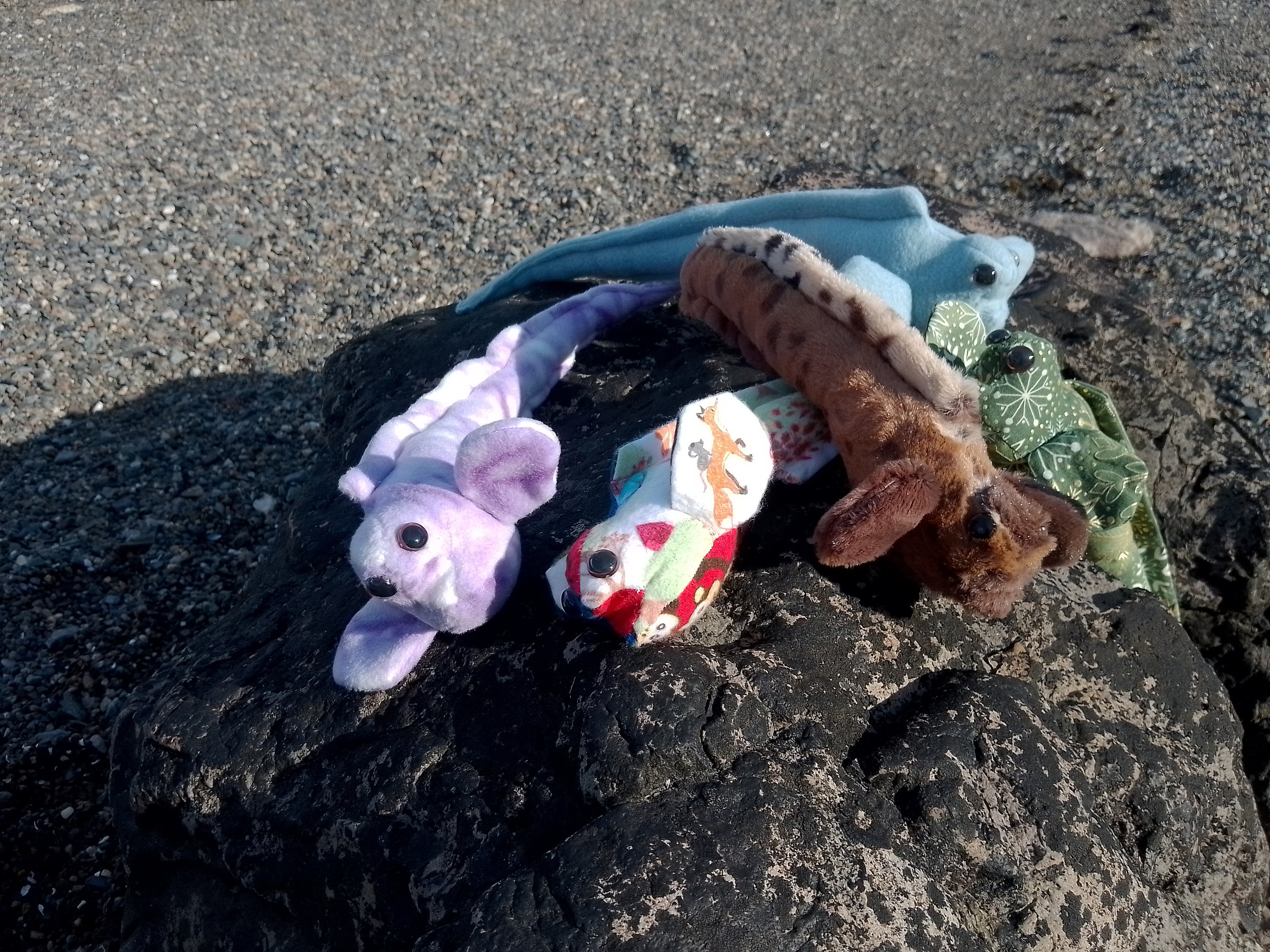 Stuffed Wolf Eel - Etsy