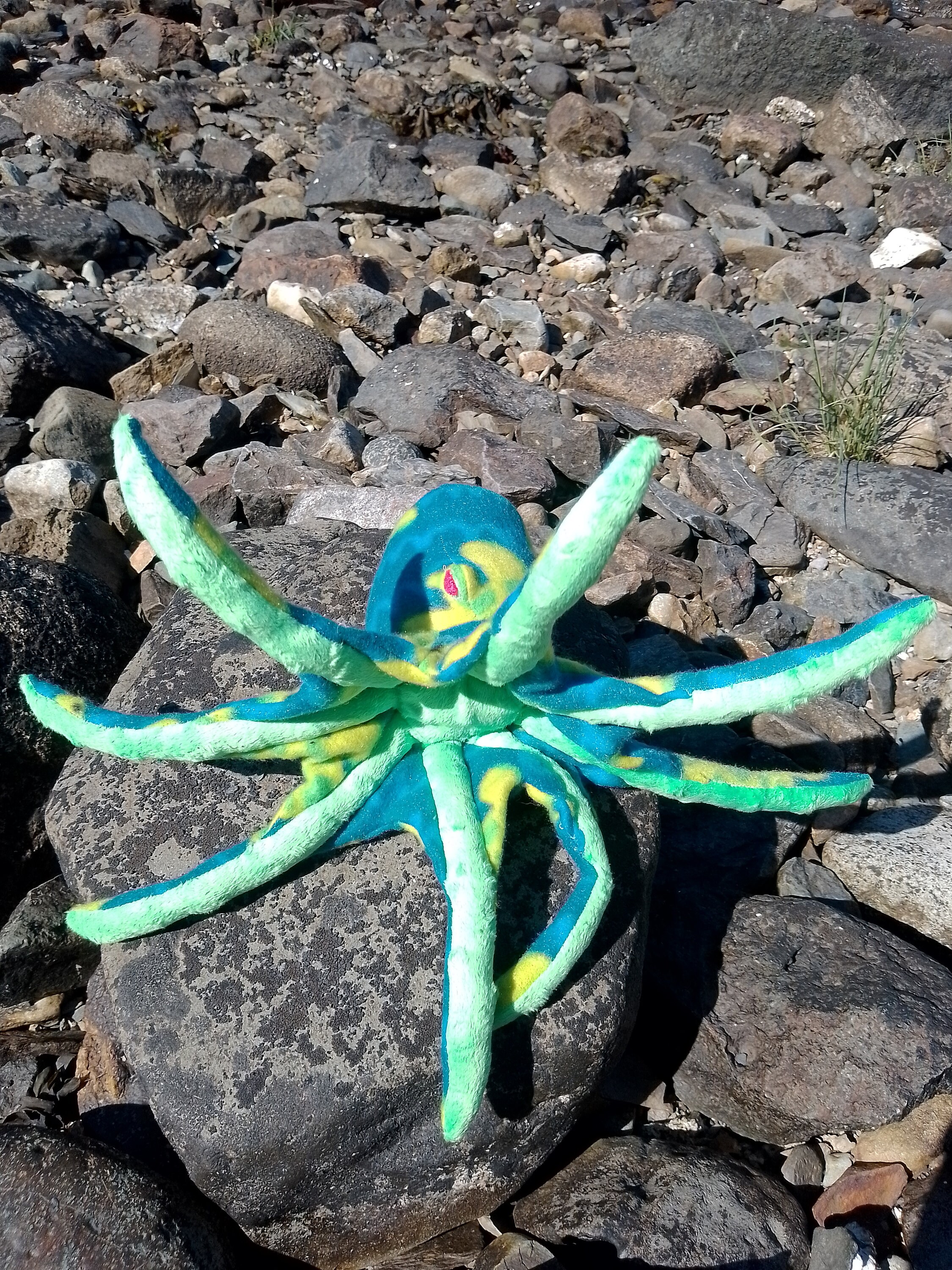 Plush Octopus: Custom Stuffed Animal Toy - Etsy