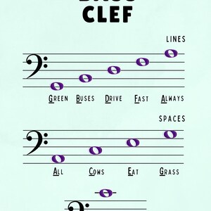 Clef Posters for Music Theory (treble, Bass, Alto) - Etsy