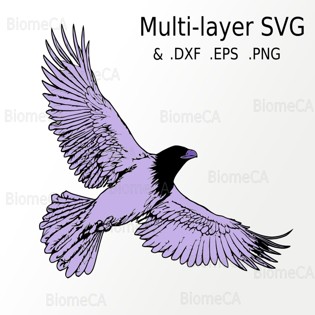 Flying Raven SVG | Multi-layer | Crow Eps | Bird DXF | Eagle PNG - Etsy