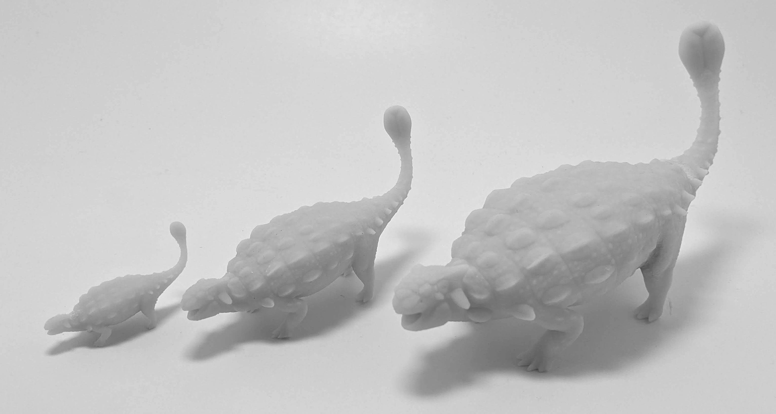Ankylosaurus Magniventris multiple Scale Sizes - Etsy