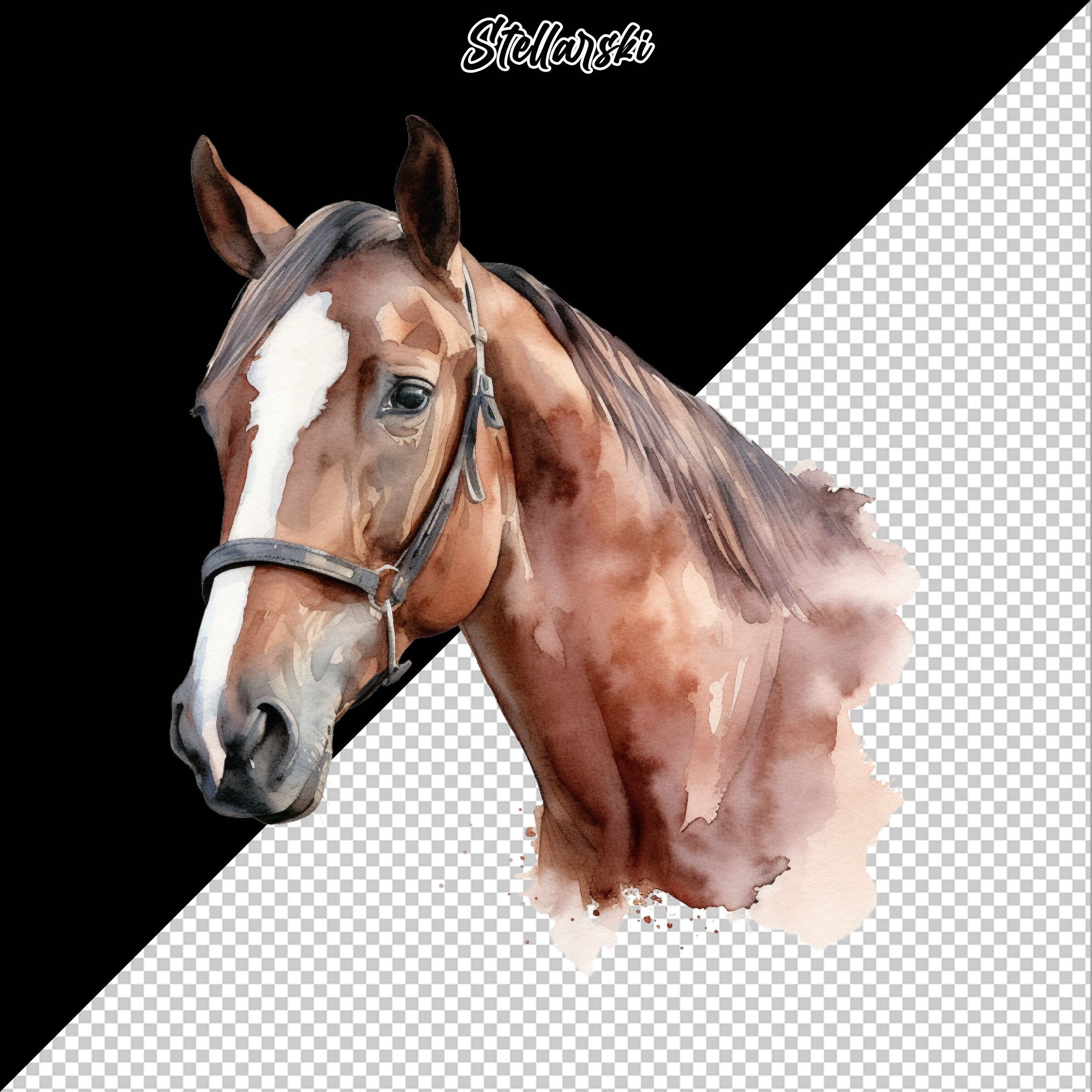 Horse PNG | Horse Clipart Bundle | Watercolor Horse Clipart | Western ...