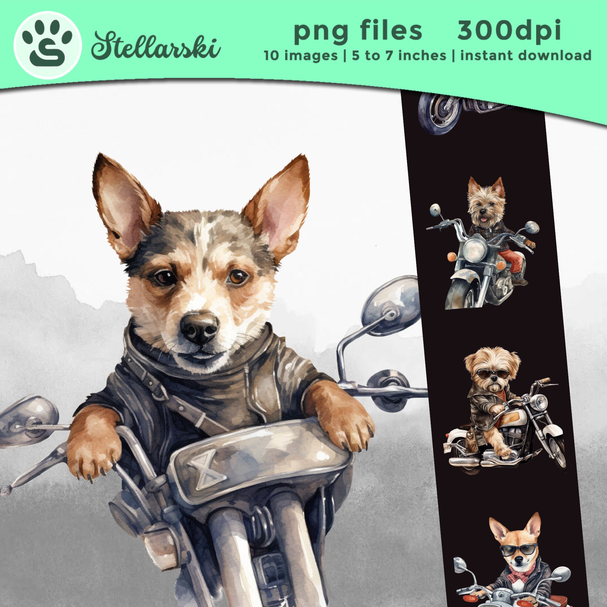 Biker Dogs Clipart | Motorcycle Dog PNG | Watercolor Dogs on Bikes ...