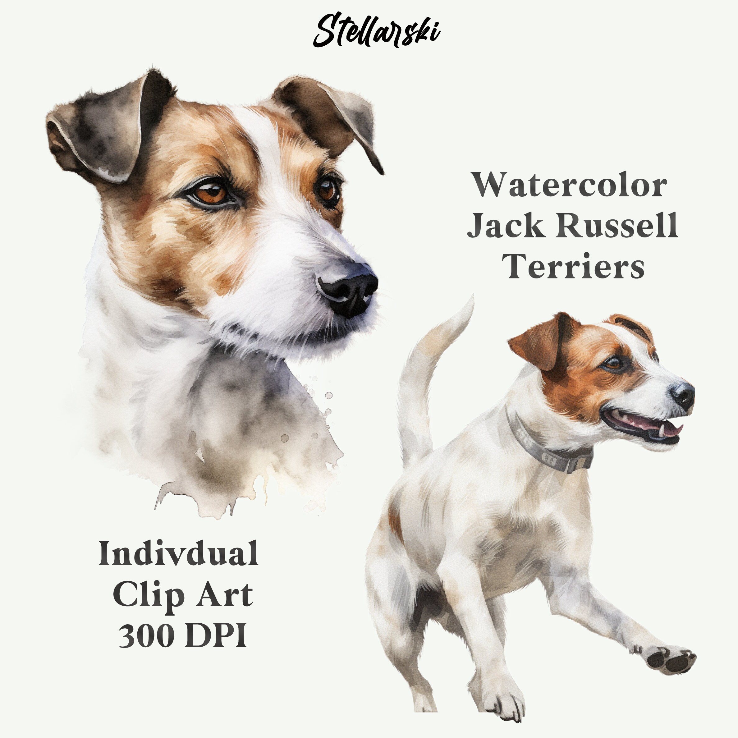 Jack Russell Clipart | Jack Russel Terrier PNG | Dog PNG | Watercolor ...
