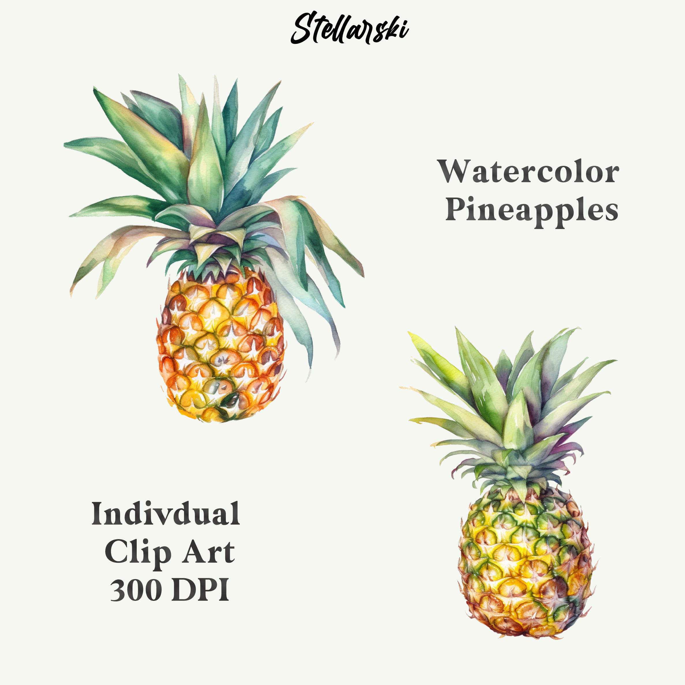 Watercolor Pineapple Clipart Tropical Fruit PNG Fruit Art Instant ...