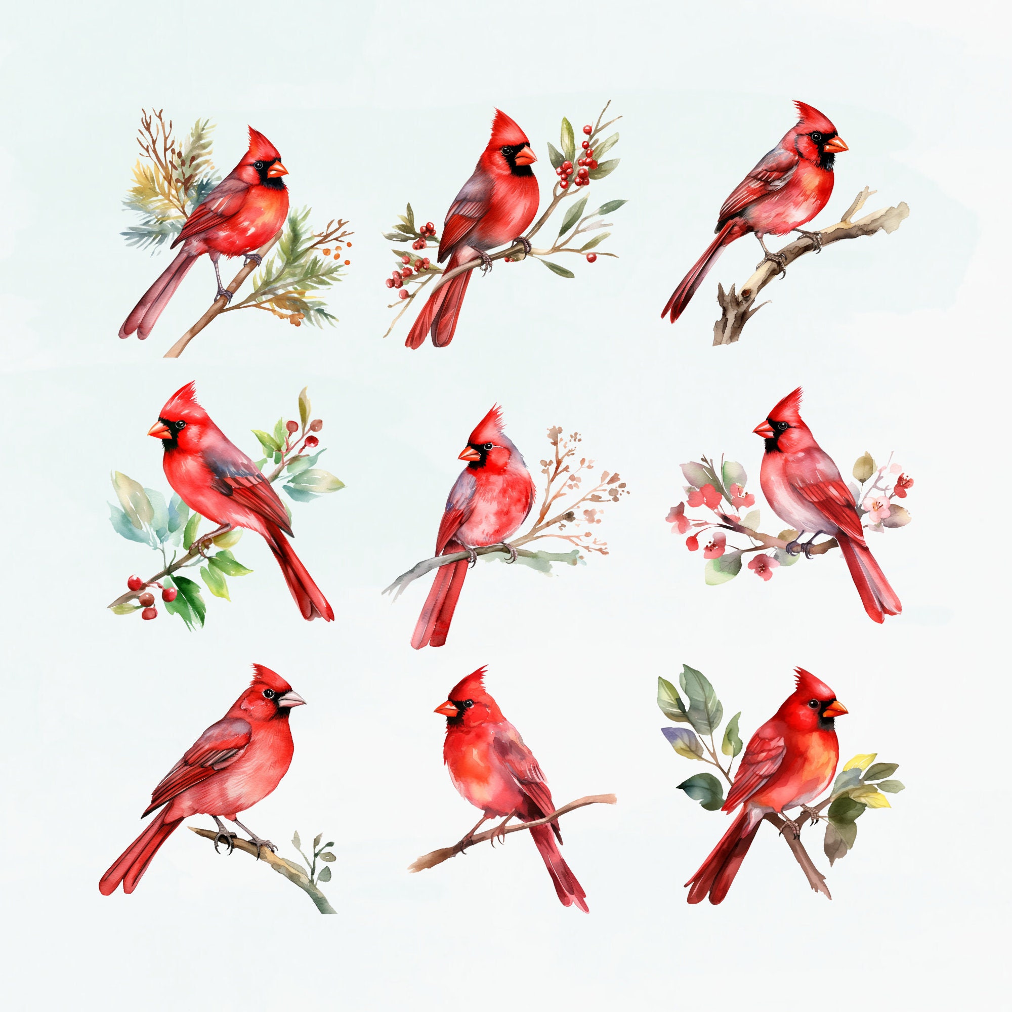 Red Cardinal Clipart | Red Bird PNG | Red Cardinal PNG | Watercolor ...