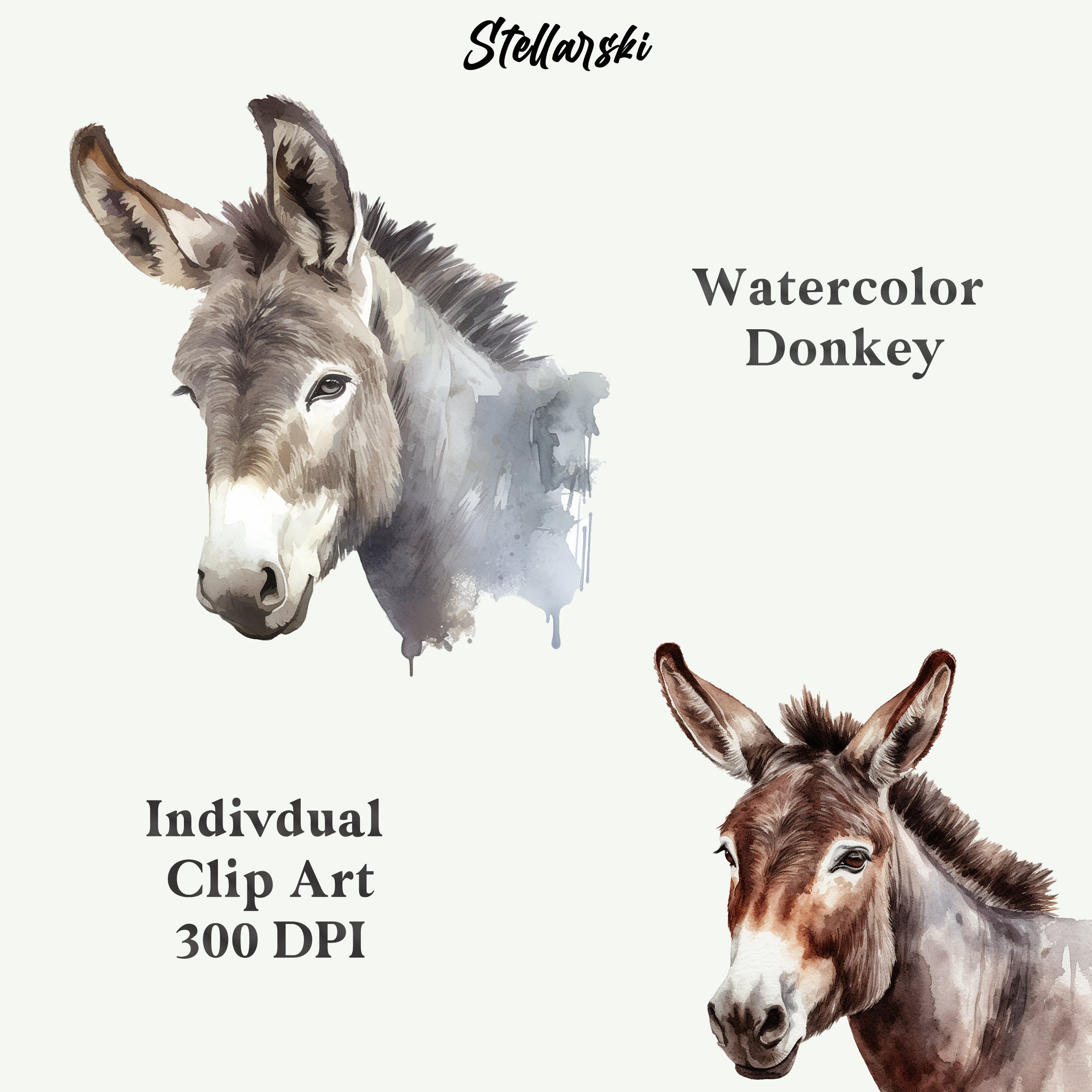 Watercolor Donkey Clipart Donkey PNG Bundle Farm Animals PNG Cute Gray ...