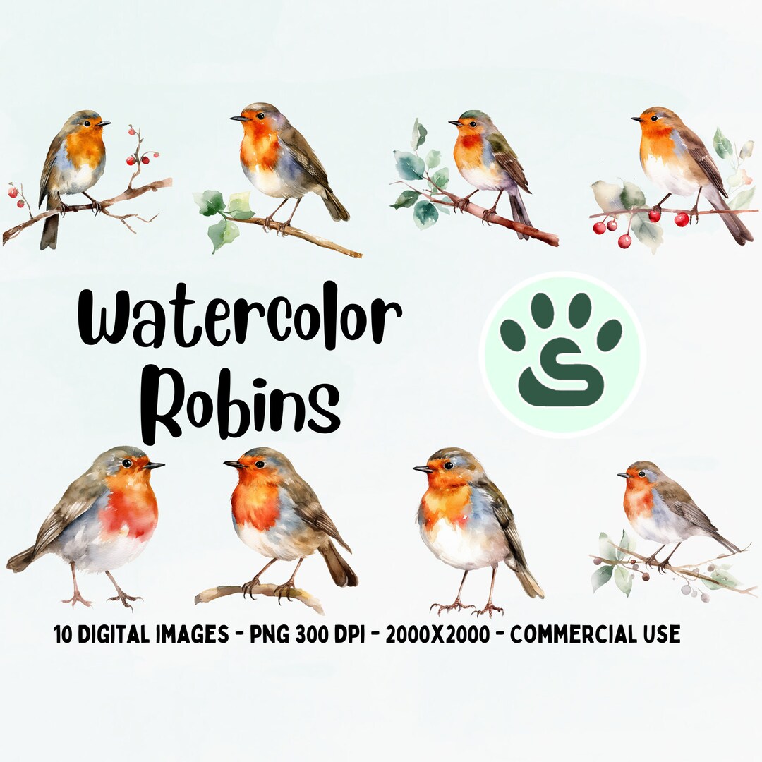 Robin Clipart Png | Cute Robin PNG | Colorful Bird PNG | Watercolor ...