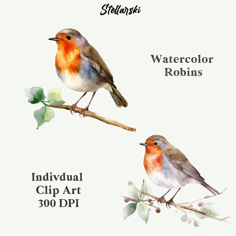Robin Clipart Png | Cute Robin PNG | Colorful Bird PNG | Watercolor ...