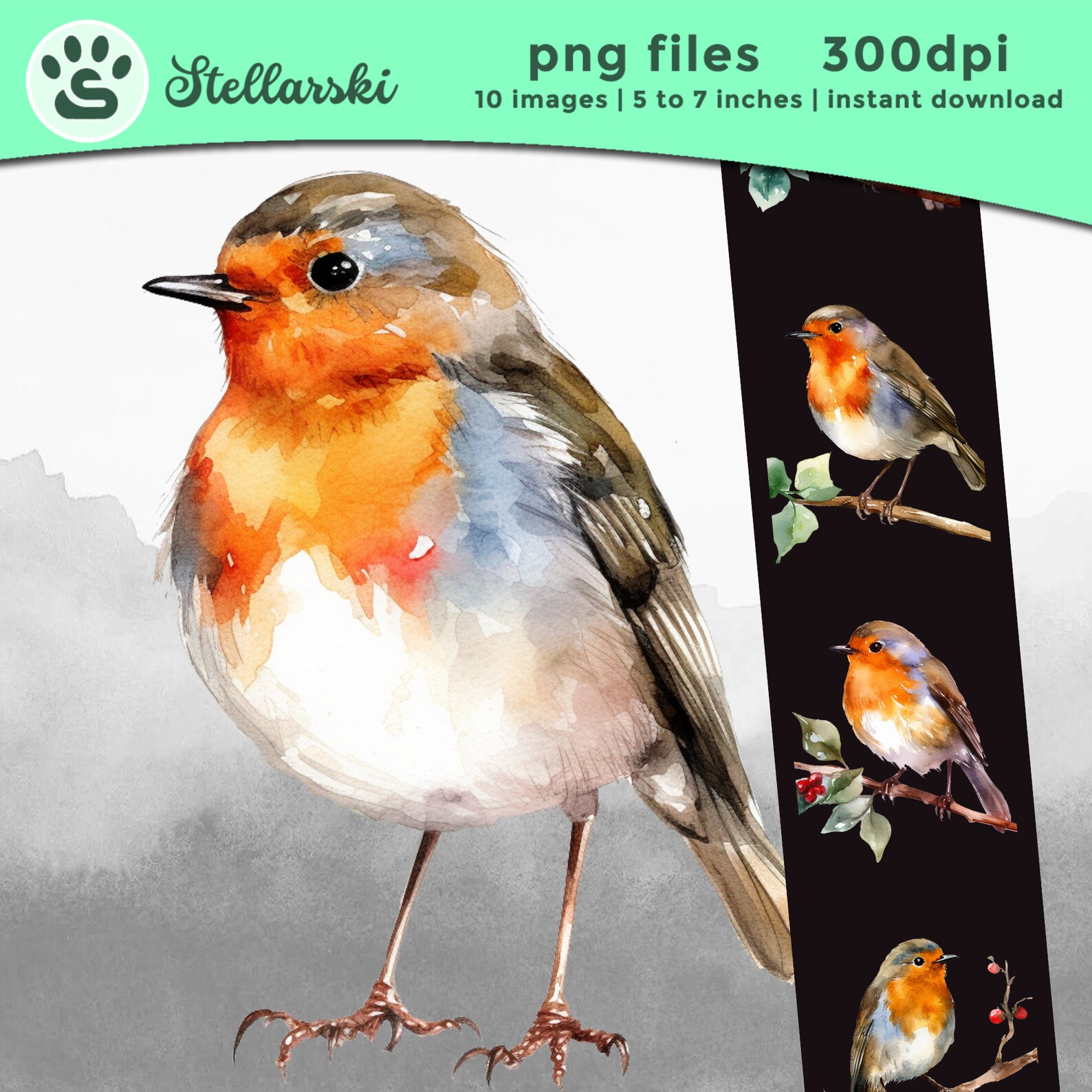 Robin Clipart Png | Cute Robin PNG | Colorful Bird PNG | Watercolor ...
