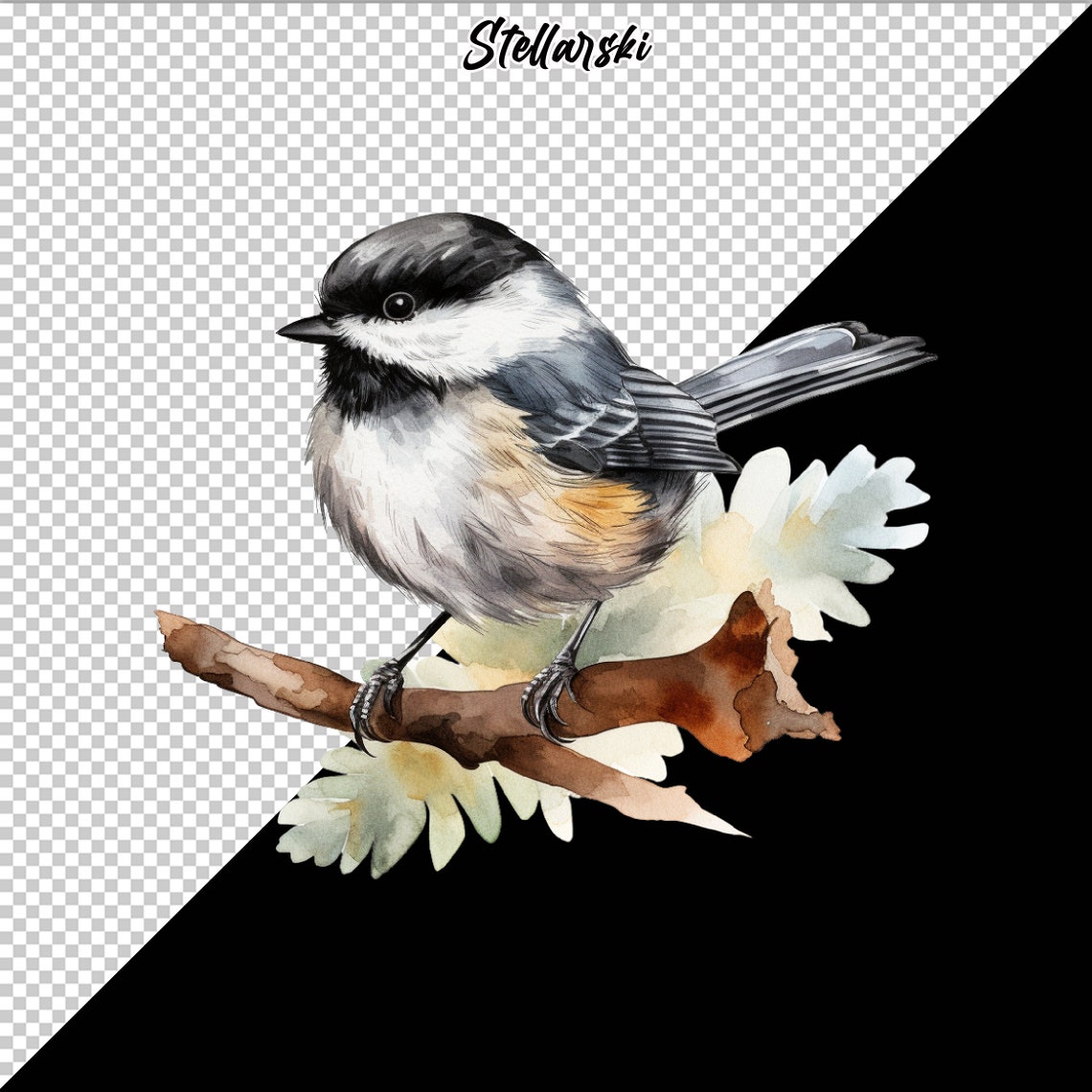 Chickadee PNG Chickadee Clipart Set Watercolor Chickadee - Etsy