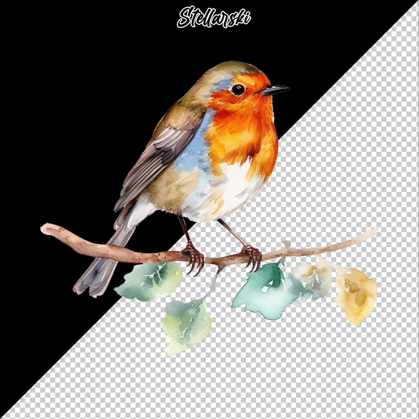 Robin Clipart Png | Cute Robin PNG | Colorful Bird PNG | Watercolor ...