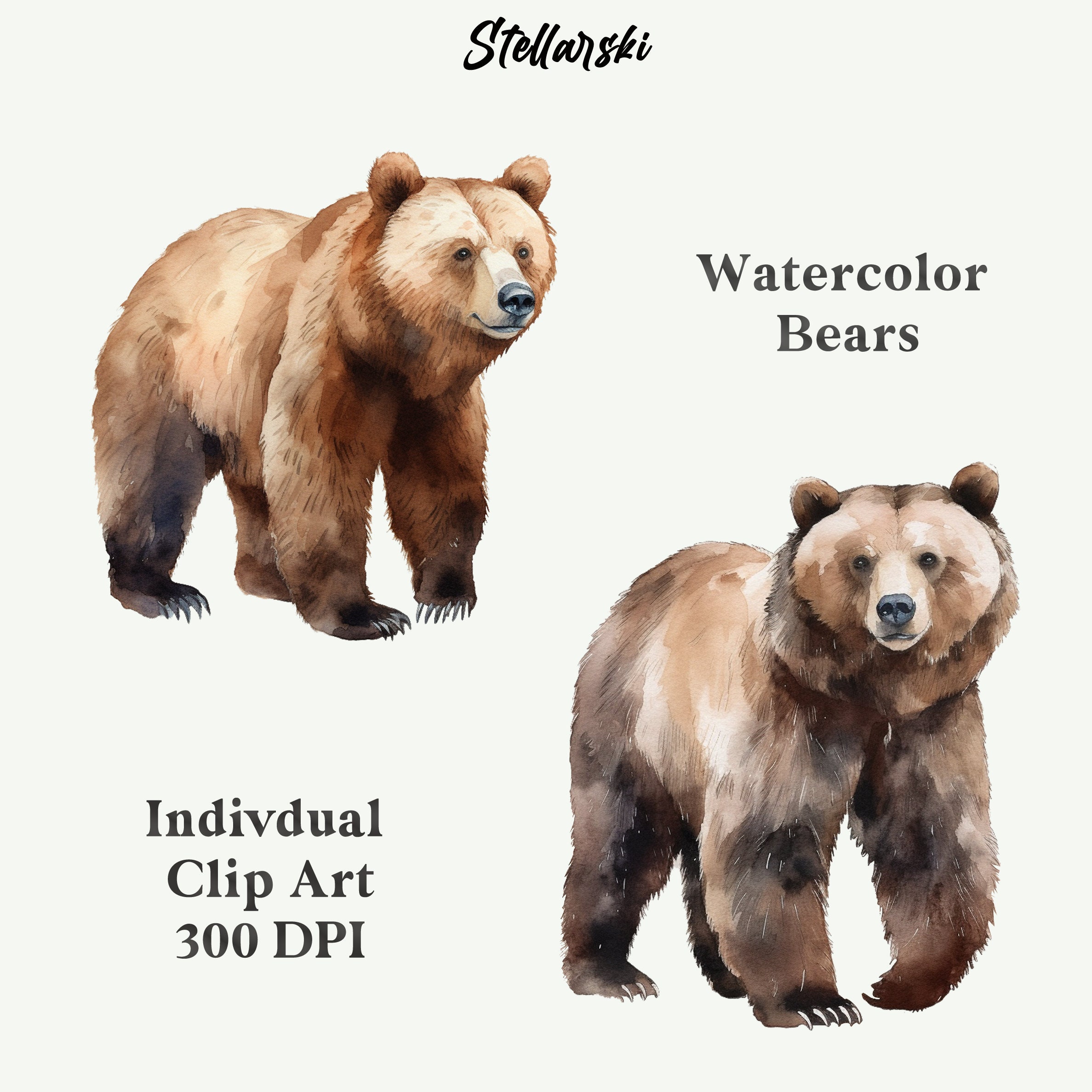 Brown Bear Clipart, Watercolor Cub PNG, Baby Bear Illustration, Teddy ...