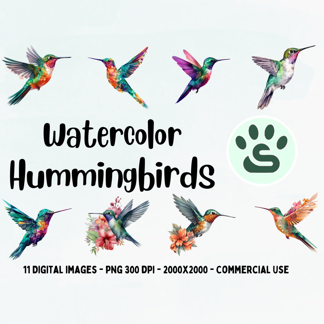 Hummingbird Bird PNG - Humming Bird Clipart - Cute Colorful Bird ...