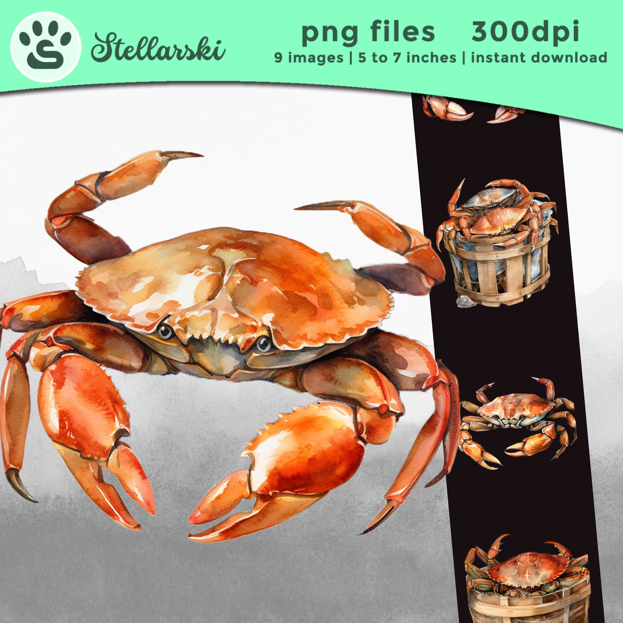 Watercolor Crab Clipart, Crabs PNG, Sea Animal Illustration Printable ...