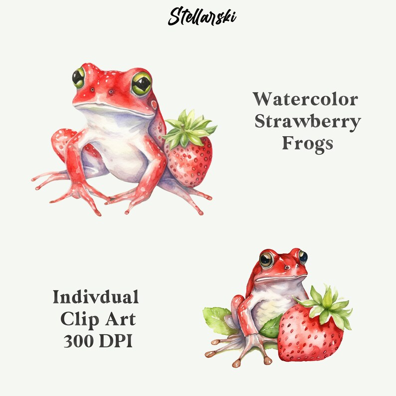 Red Strawberry Frog PNG | Red Frog Bird | Cute Colorful Frog PNG ...