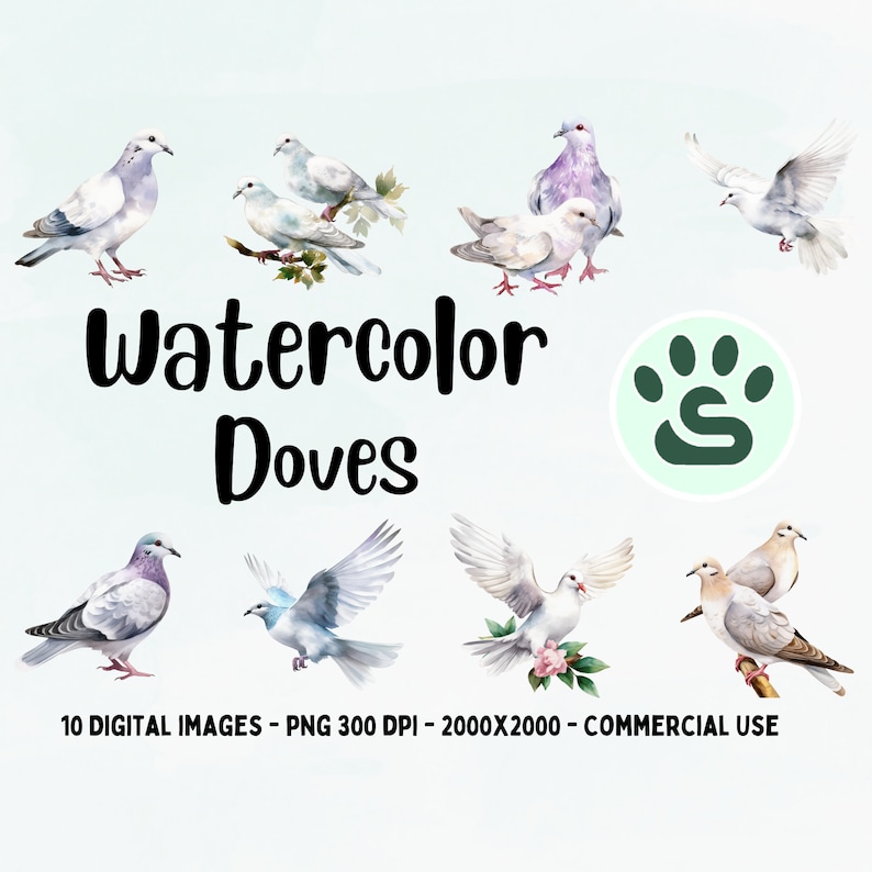 White Dove PNG Watercolor Bird Clipart Mourning Dove Art Instant ...