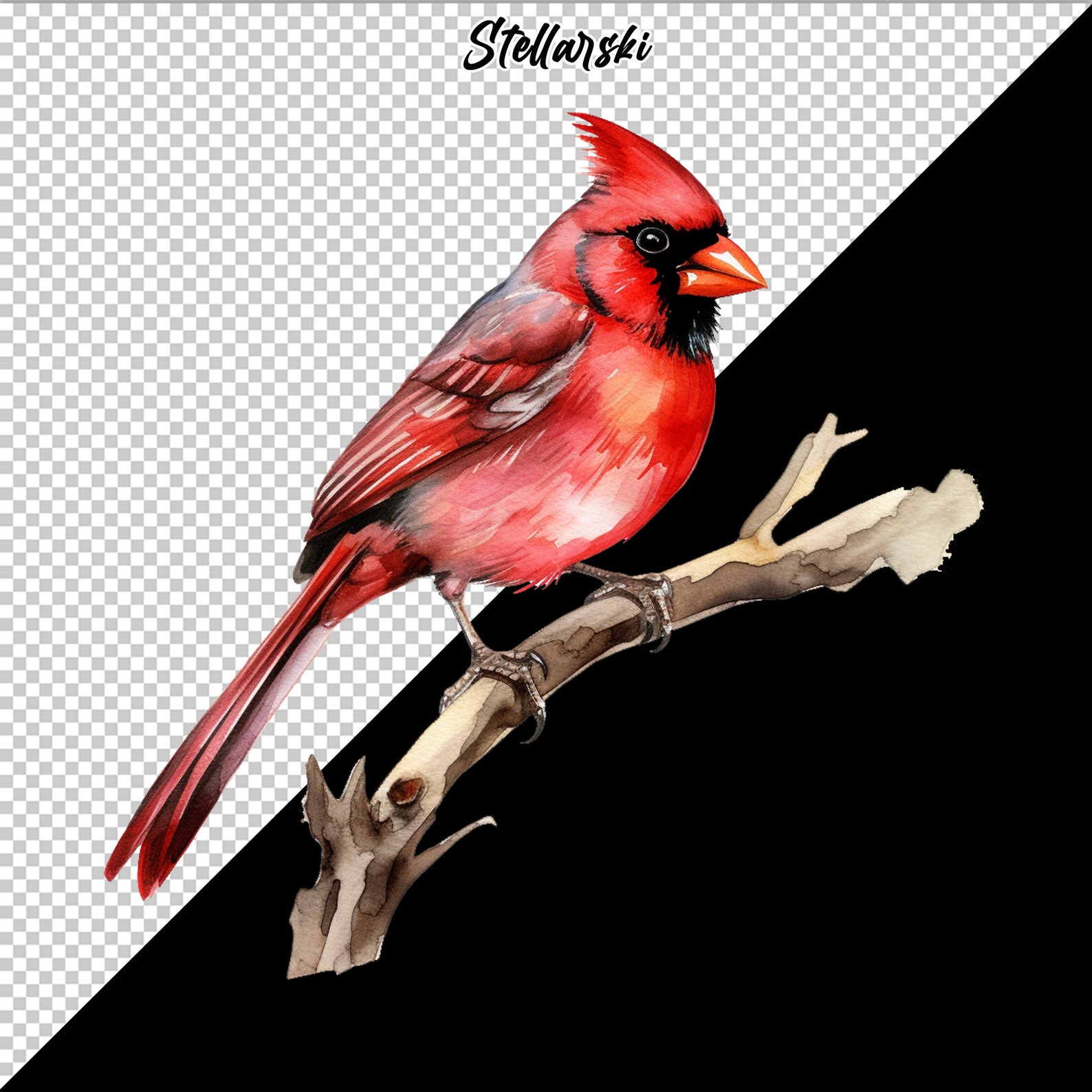 Red Cardinal PNG | Red Cardinal Bird | Cute Colorful Bird PNG ...