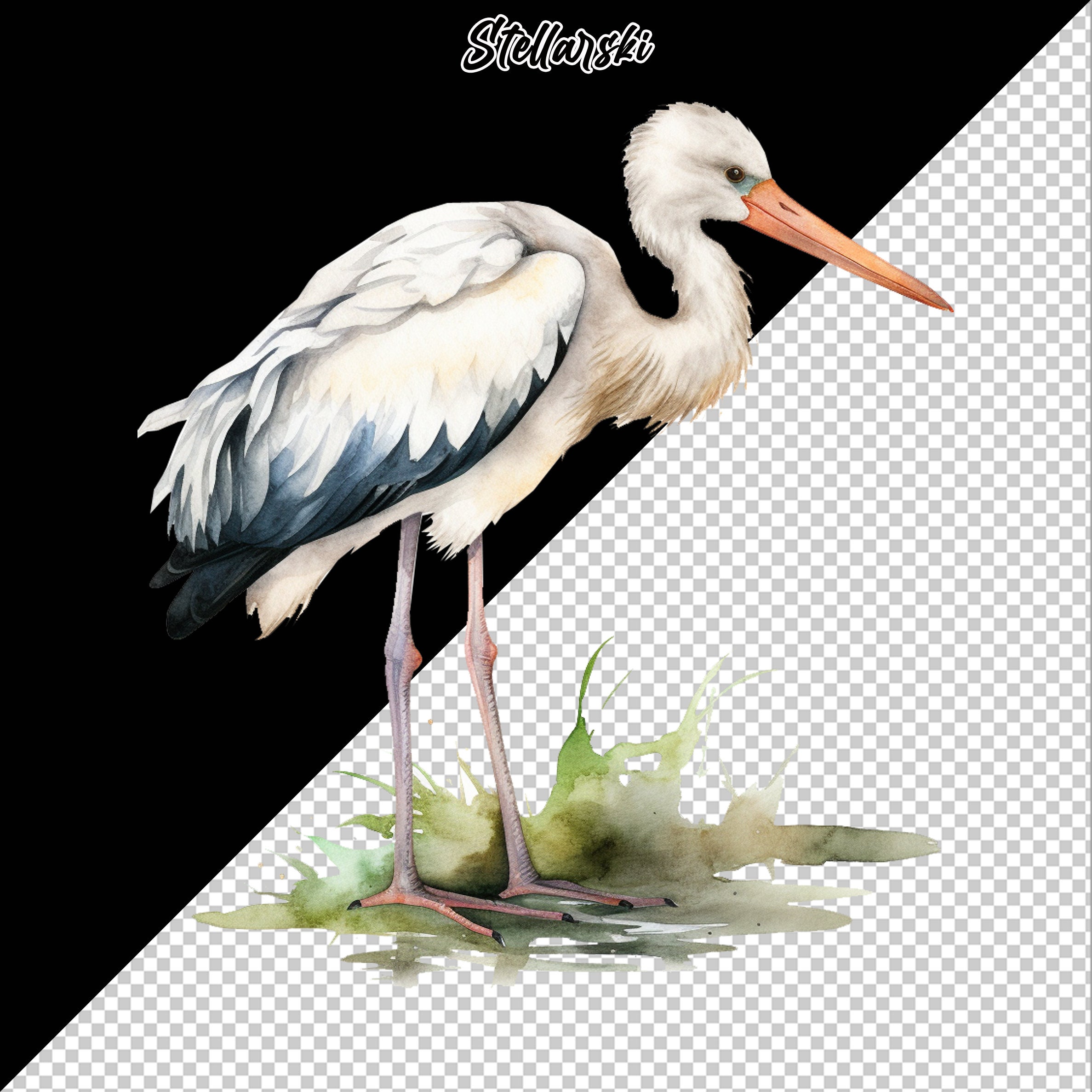 Watercolor Stork Clipart | Stork Baby Shower PNG | Farm Animals ...
