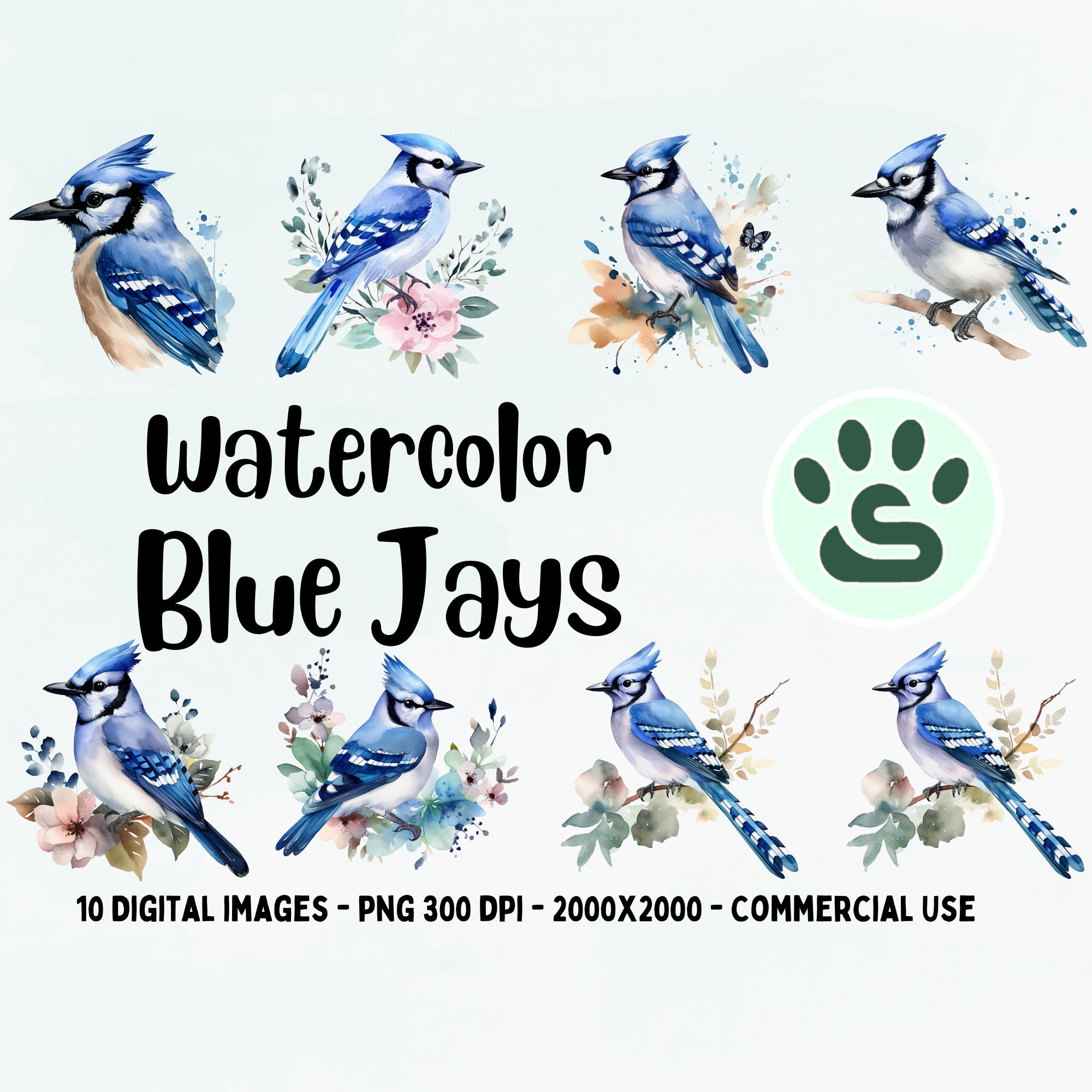 Blue Jay Clipart | Watercolor Bird PNG | Cute Blue Bird PNG | Colorful ...