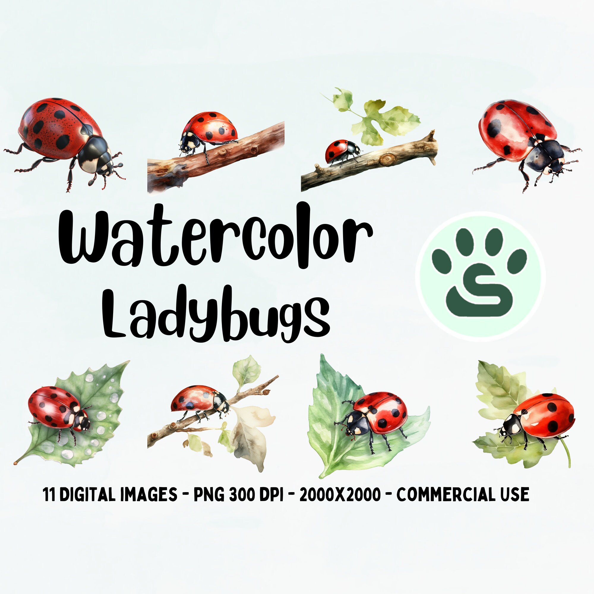 Red Ladybug PNG Ladybug Insect Cute Colorful Ladybug PNG Watercolor ...