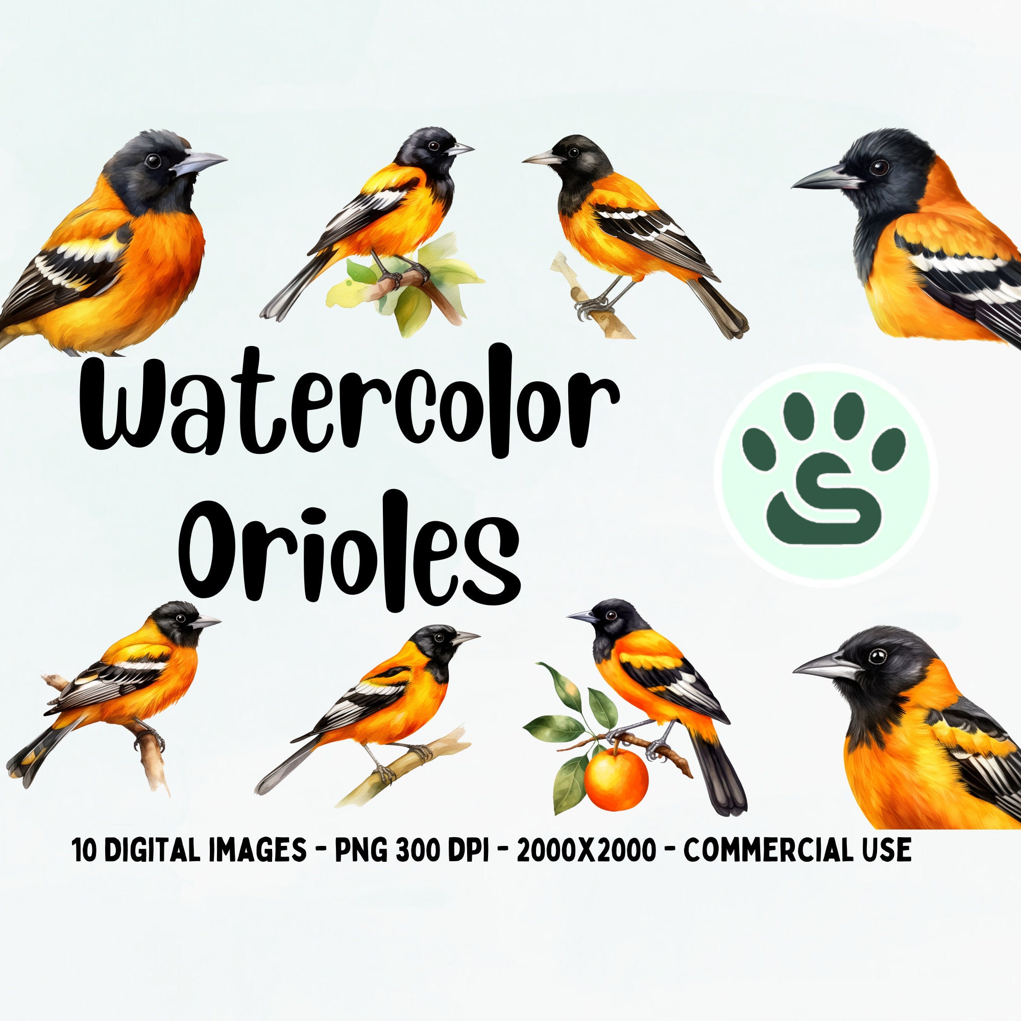 Baltimore Oriole PNG Orange Oriole Bird Cute Colorful Bird PNG ...