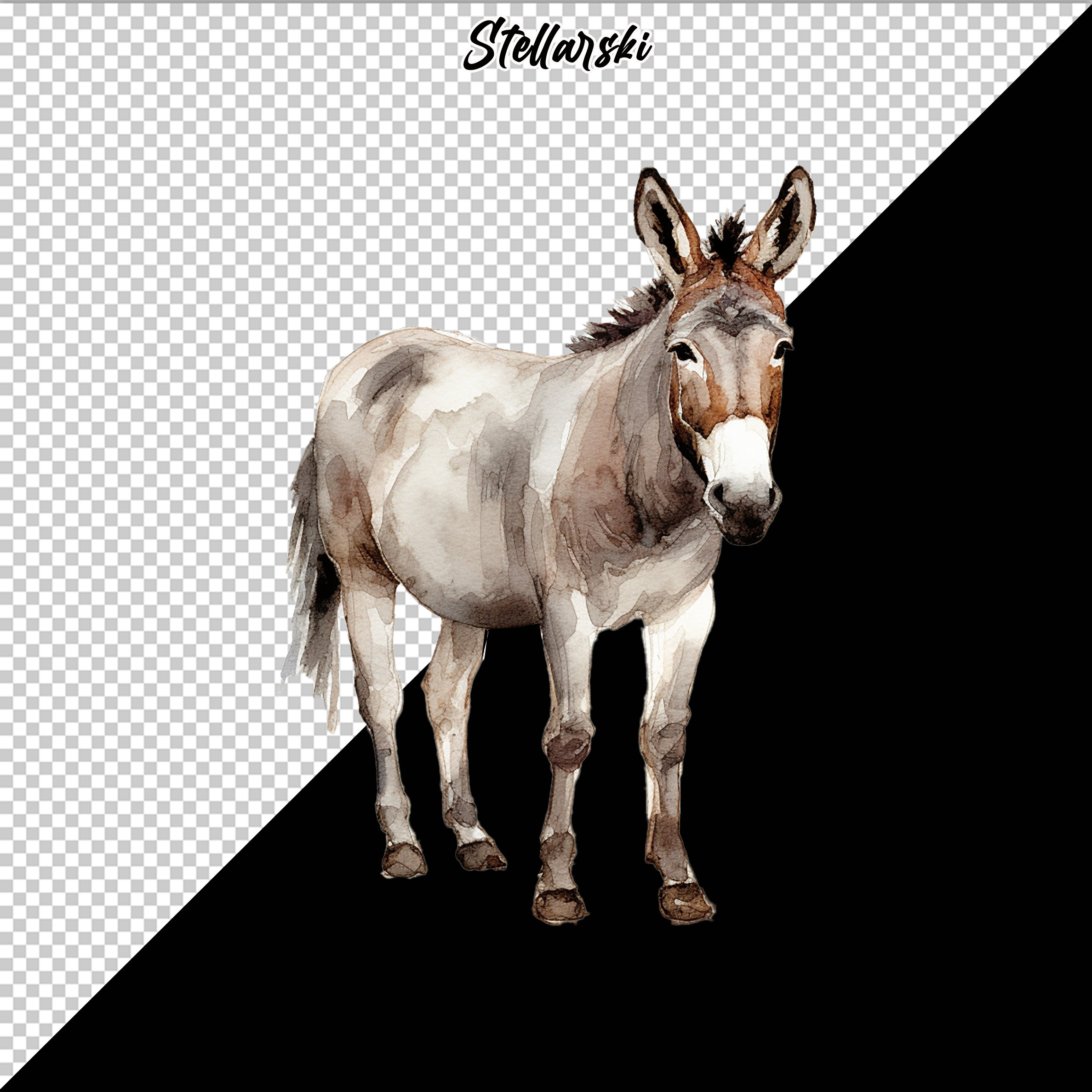 Watercolor Donkey Clipart Donkey PNG Bundle Farm Animals PNG Cute Gray ...