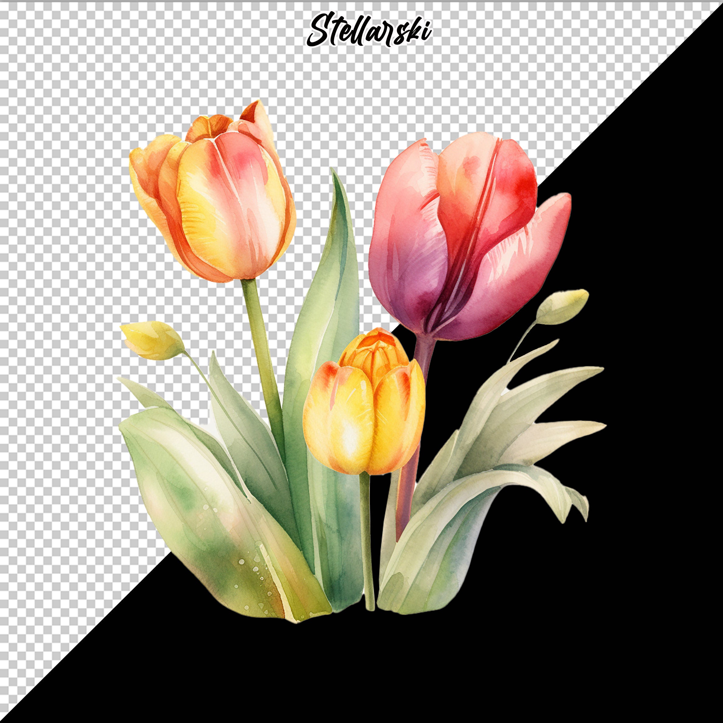 Colorful Tulips PNG | Spring Flowers Clipart | Watercolor Tulip PNG ...