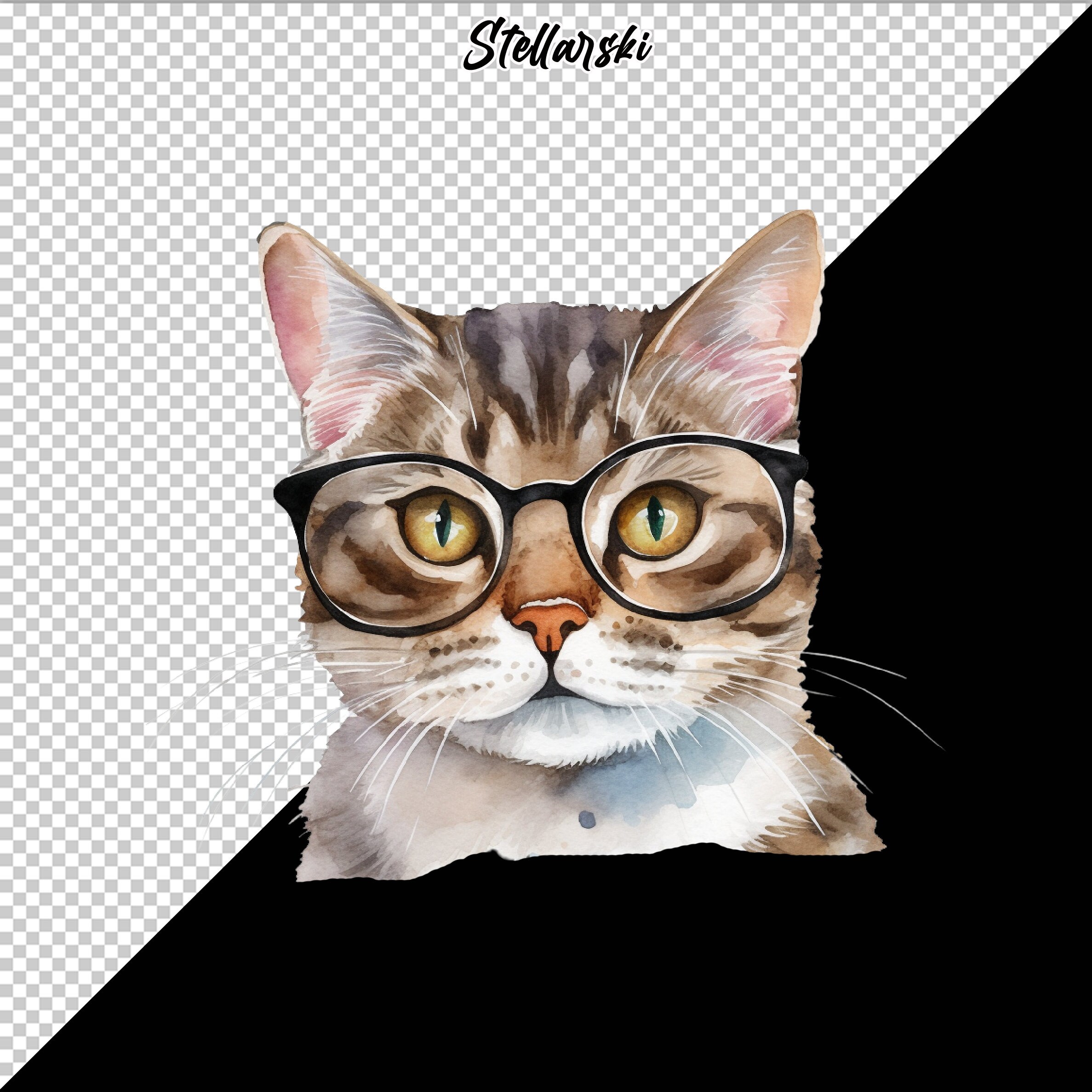 Fluffy Cat in Glasses Clipart PNG Commercial Use Watercolor - Etsy