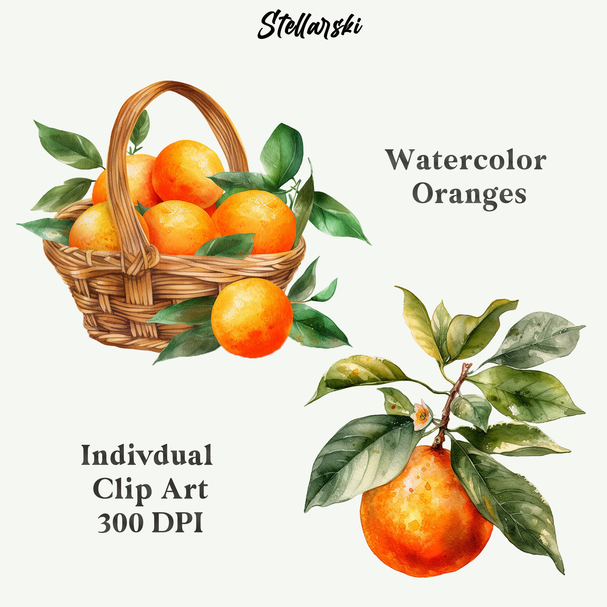 Oranges Clipart Orange Fruit PNG Watercolor Summer Oranges - Etsy