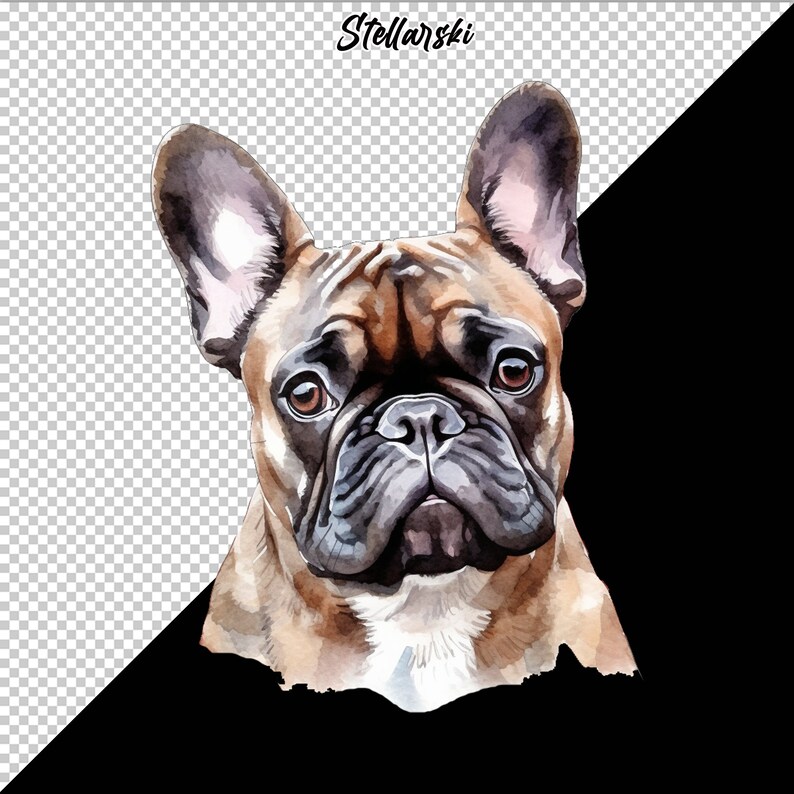French Bulldog Clipart | Cute Robin PNG | French Bulldog PNG ...