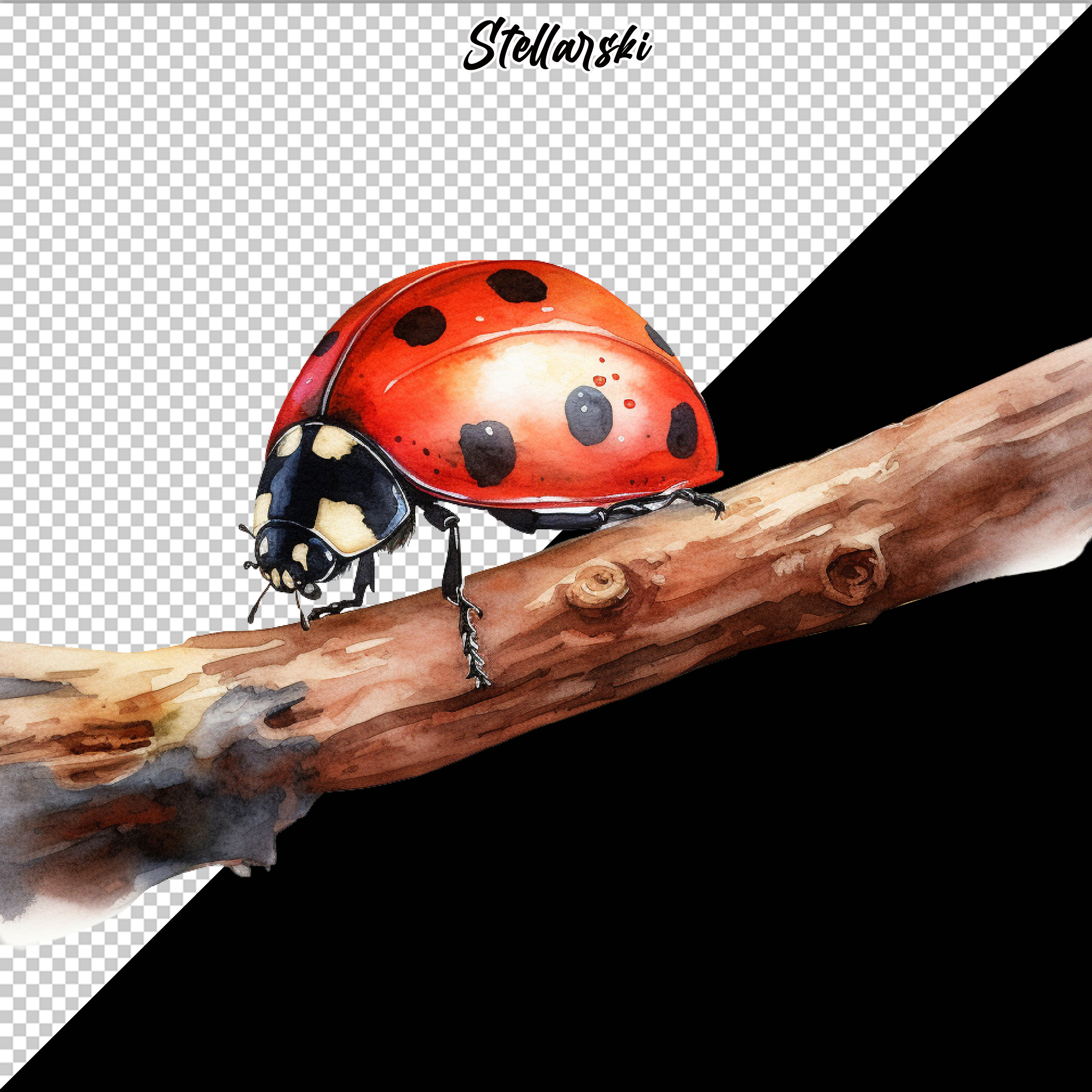 Red Ladybug PNG Ladybug Insect Cute Colorful Ladybug PNG Watercolor ...