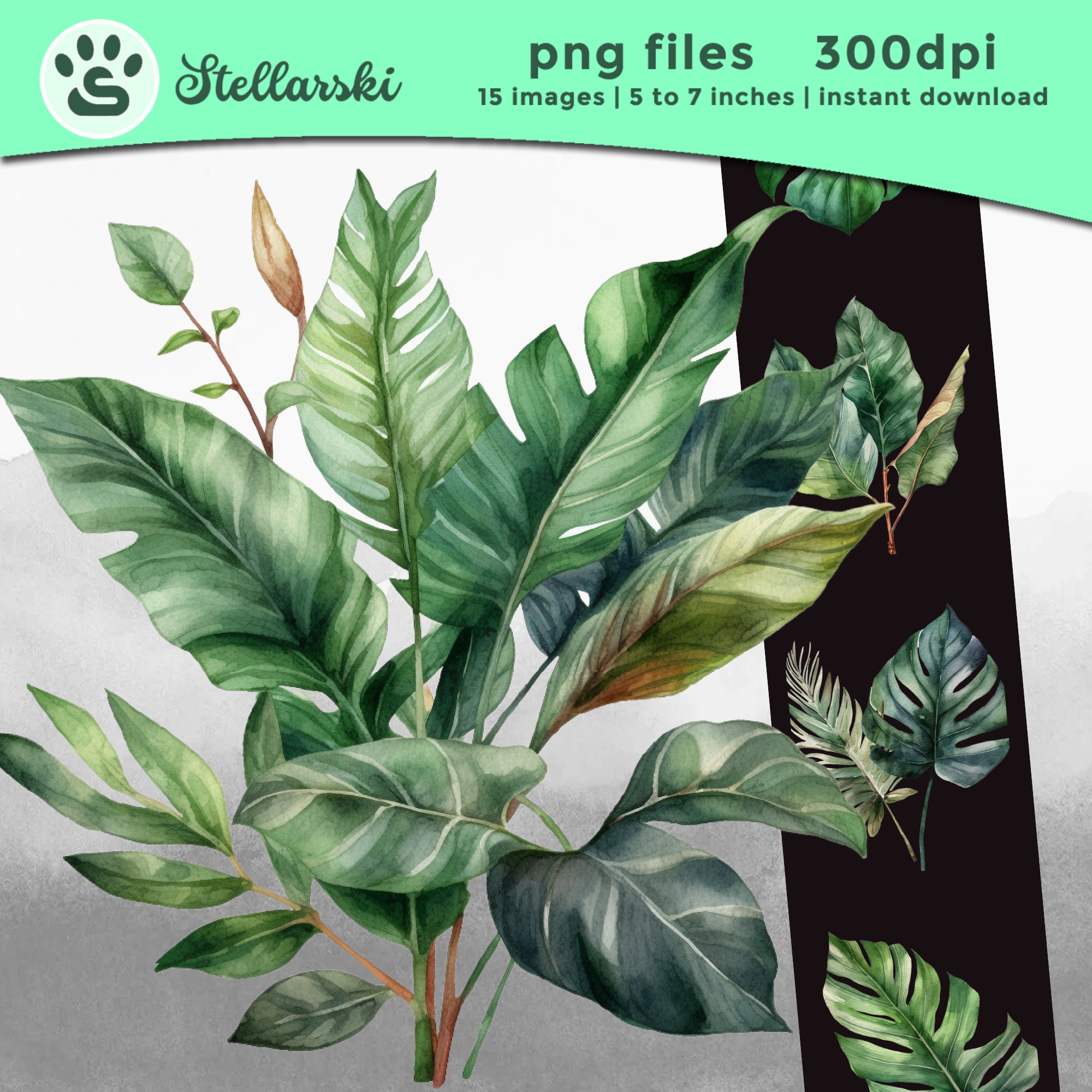 Tropical Leaves Clipart | Green Jungle Leaves | Green Monstera Leaves ...