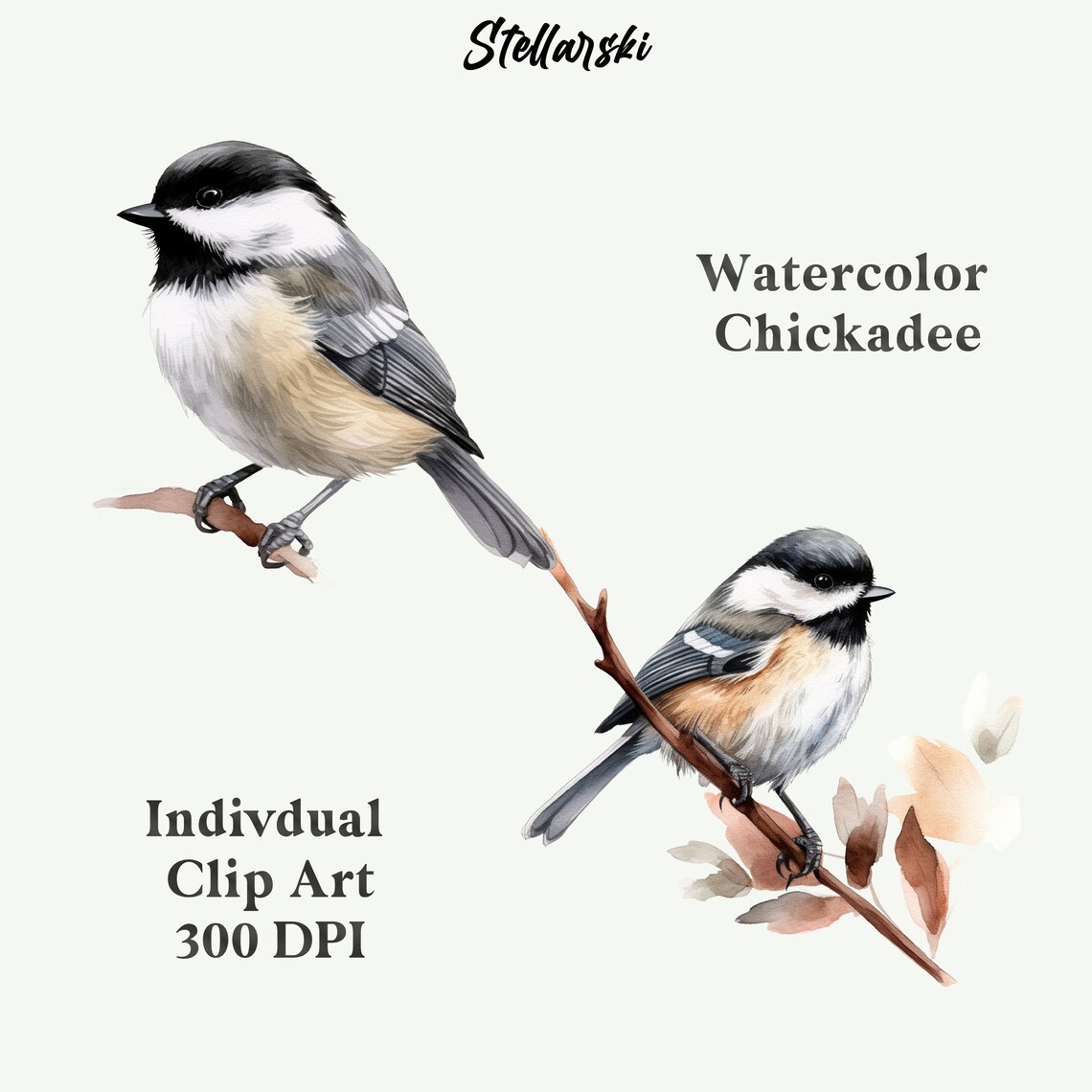 Chickadee PNG Chickadee Clipart Set Watercolor Chickadee - Etsy