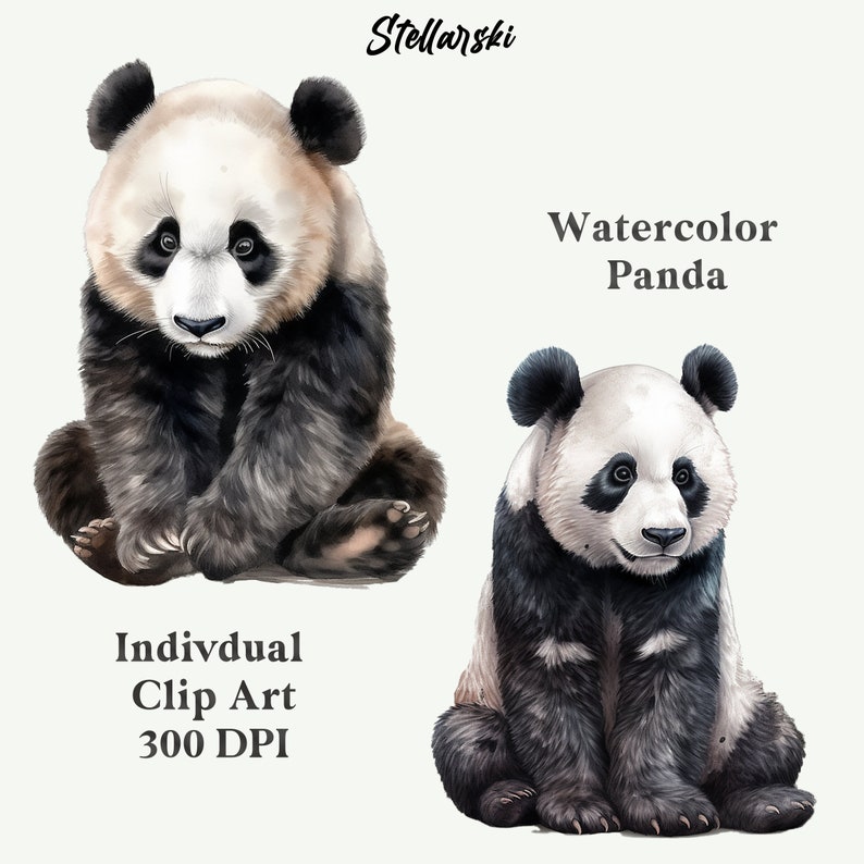 Watercolor Panda Clipart | Panda PNG | Cute Panda Clipart | Nursery ...