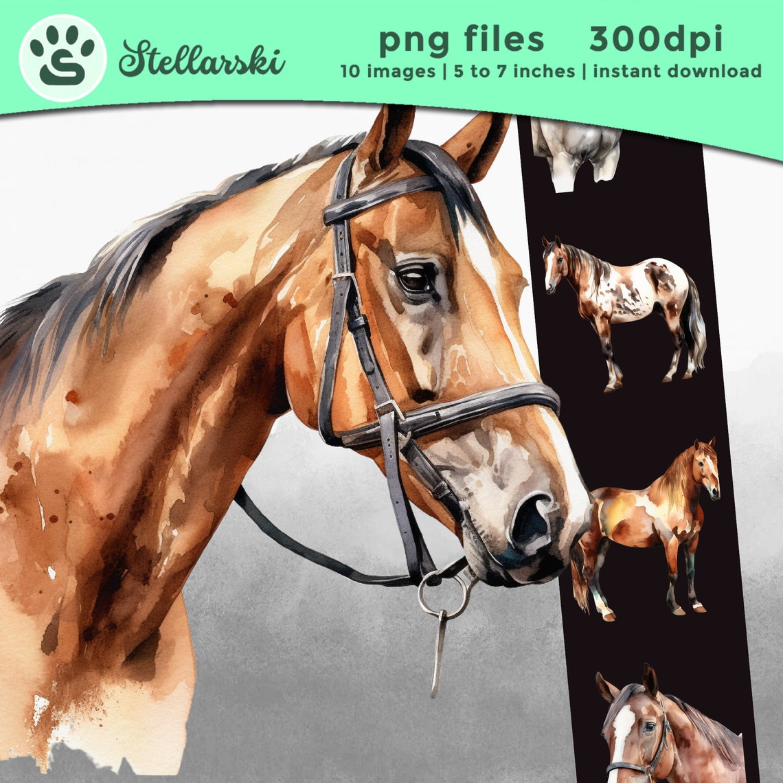 Horse PNG Horse Clipart Bundle Watercolor Horse Clipart Western Clipart ...