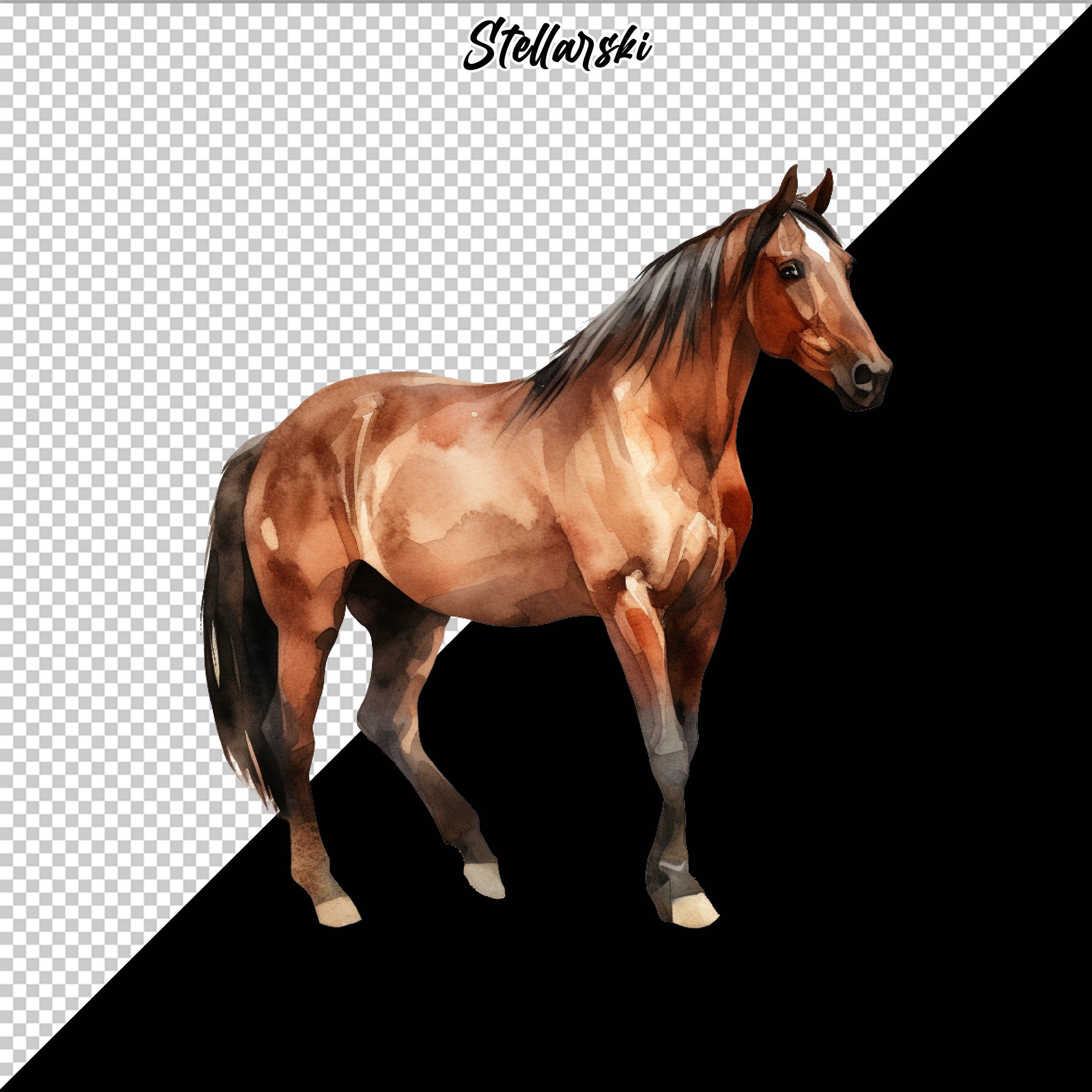 Horse PNG Horse Clipart Bundle Watercolor Horse Clipart Western Clipart ...