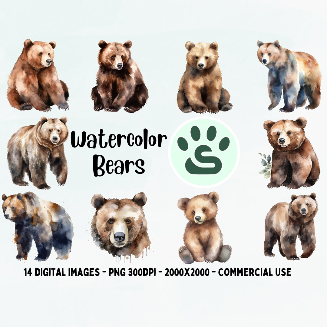 Brown Bear Clipart, Watercolor Cub PNG, Baby Bear Illustration, Teddy ...