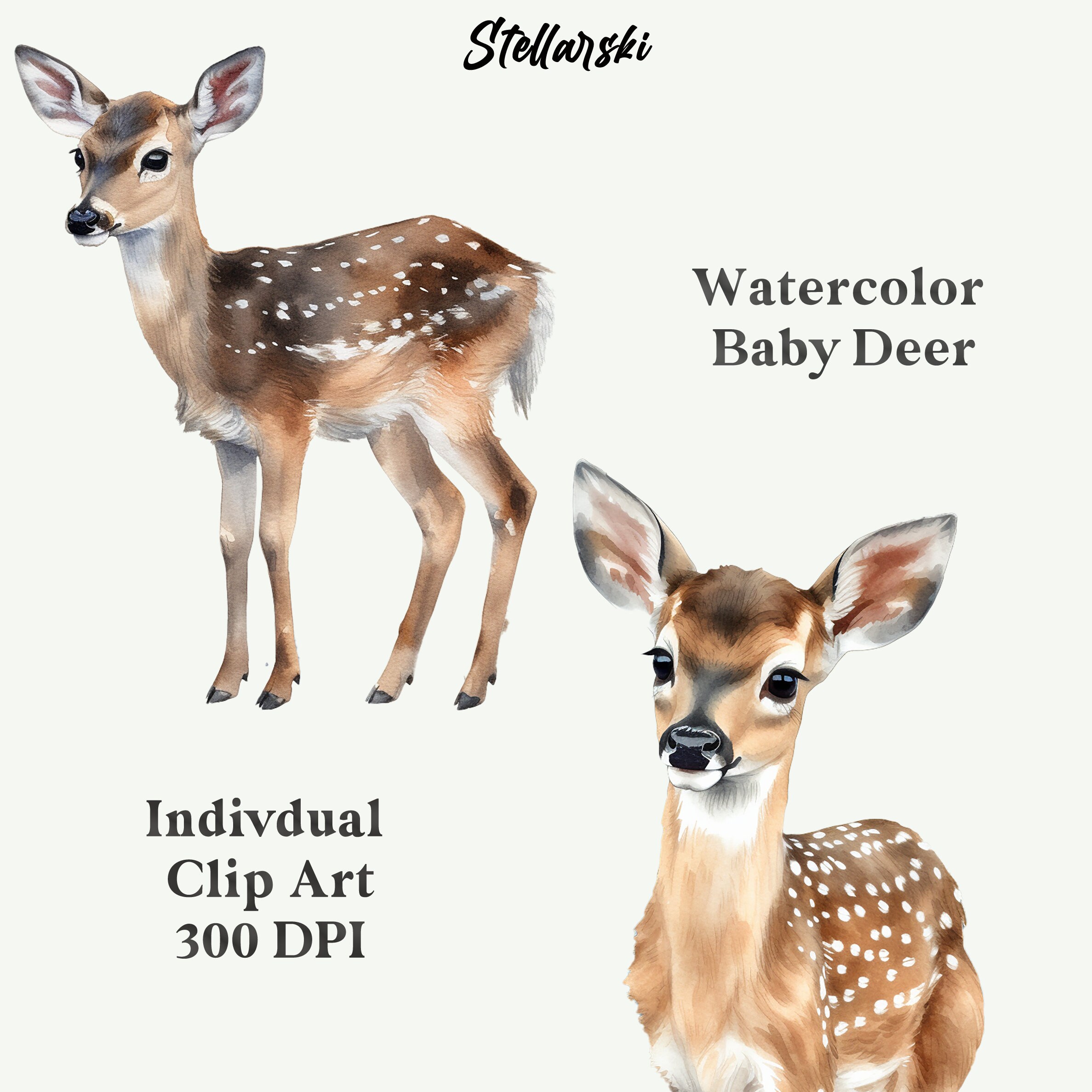 Baby Deer PNG Fawn Clipart Forest Animal PNG Watercolor Deers Clipart ...