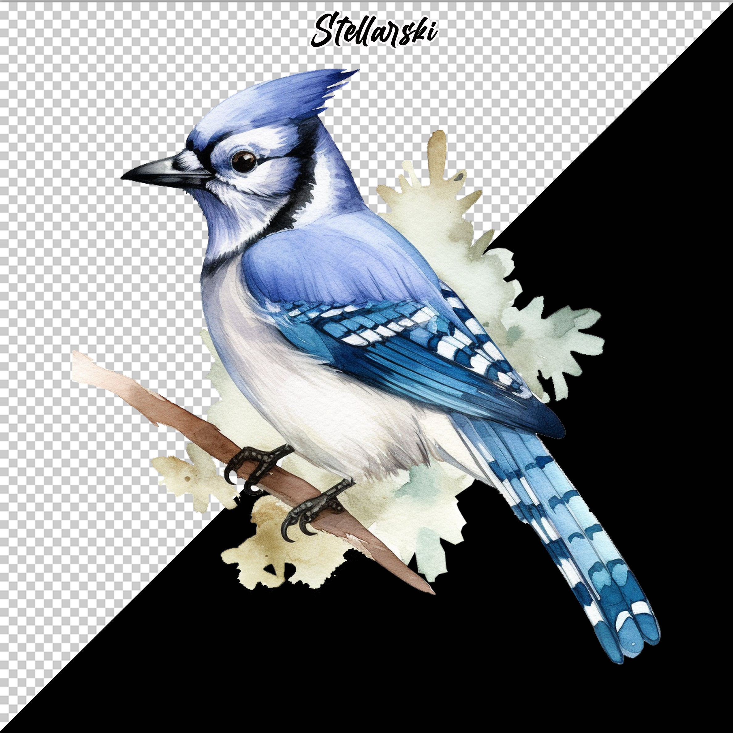 Blue Jay PNG | Watercolor Bird Clipart | Cute Colorful Bird PNG ...